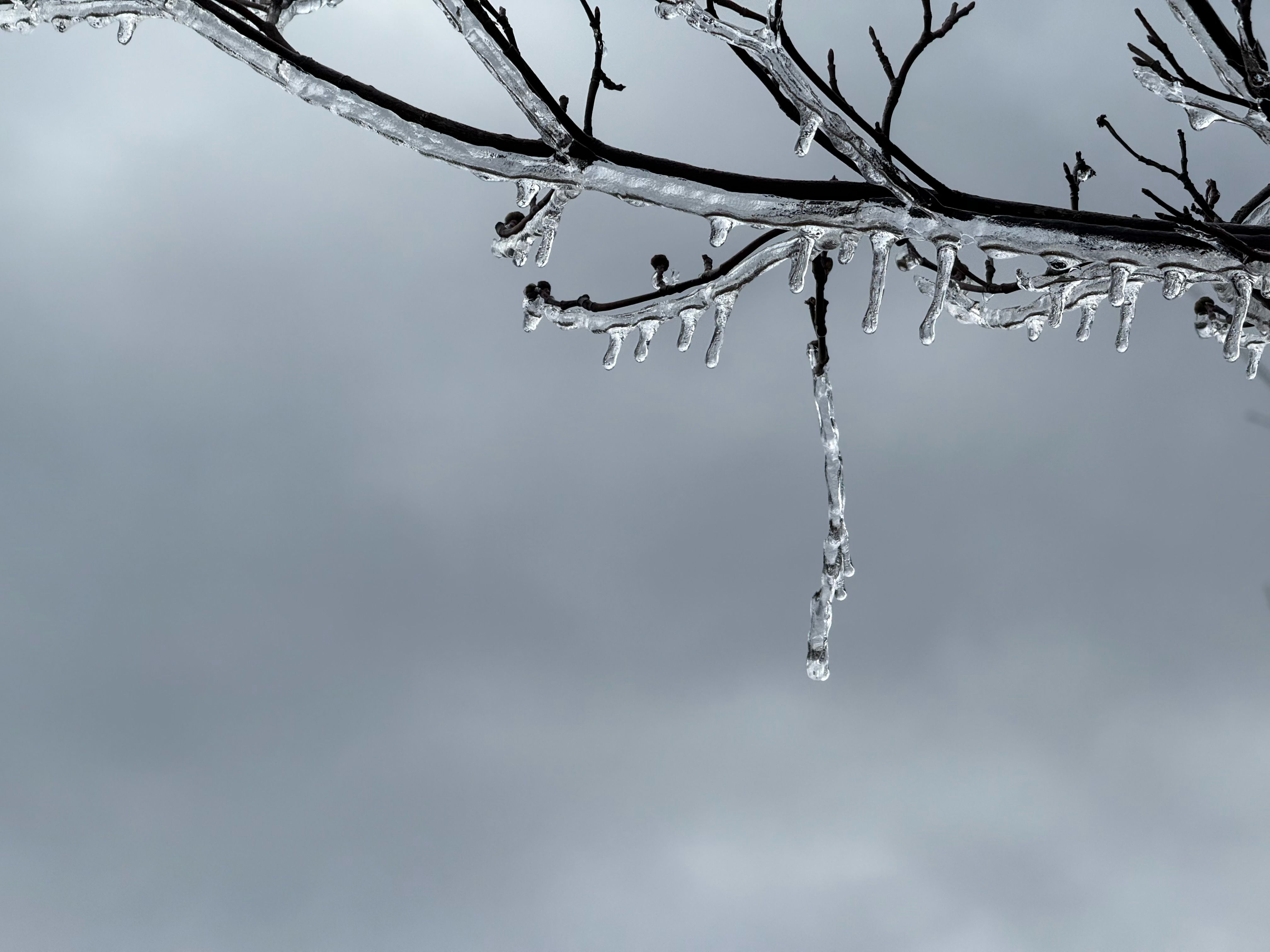 Freeze Photos, Download The BEST Free Freeze Stock Photos & HD Images