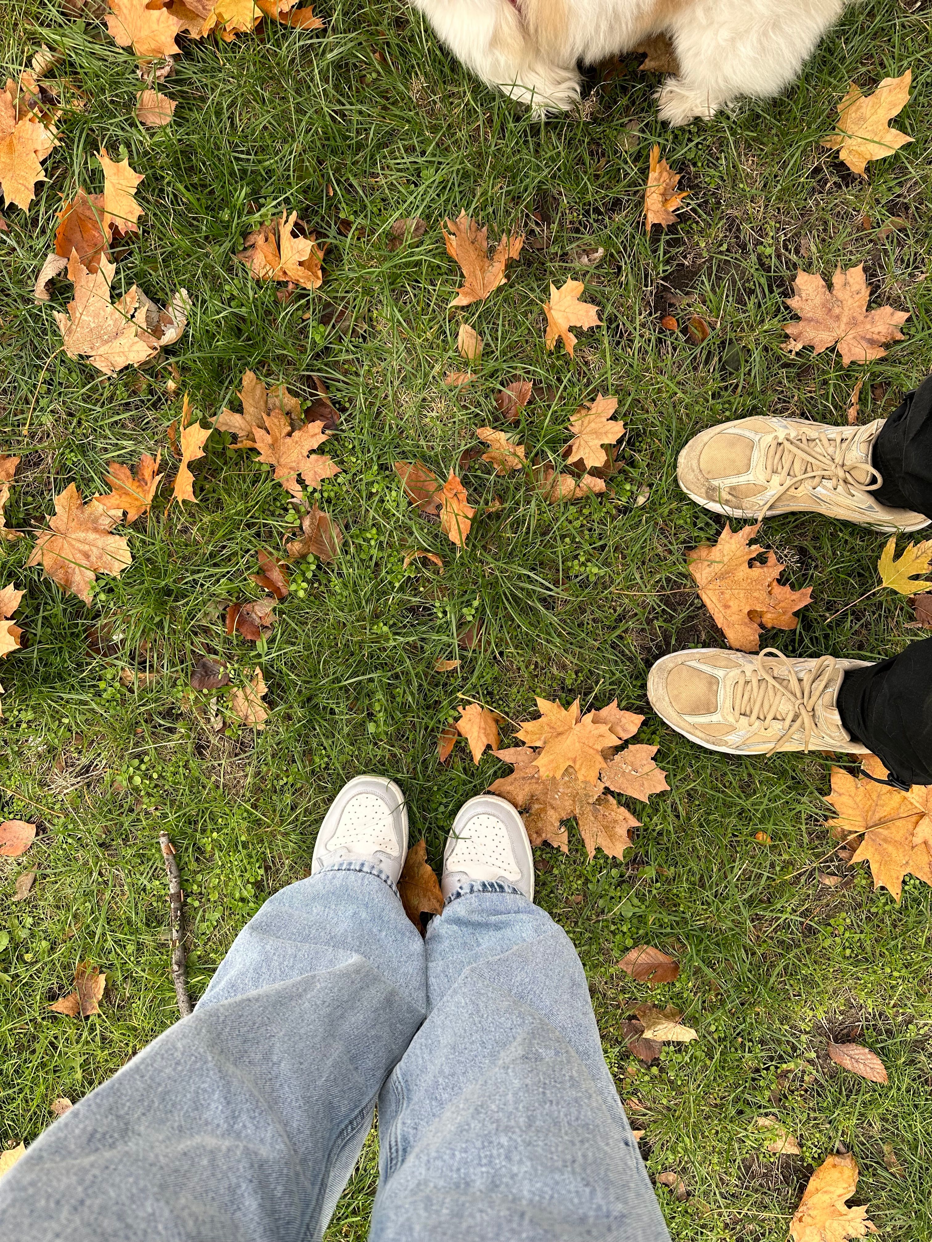 Feet in Autumn Leaves Park Setting · Free Stock Photo