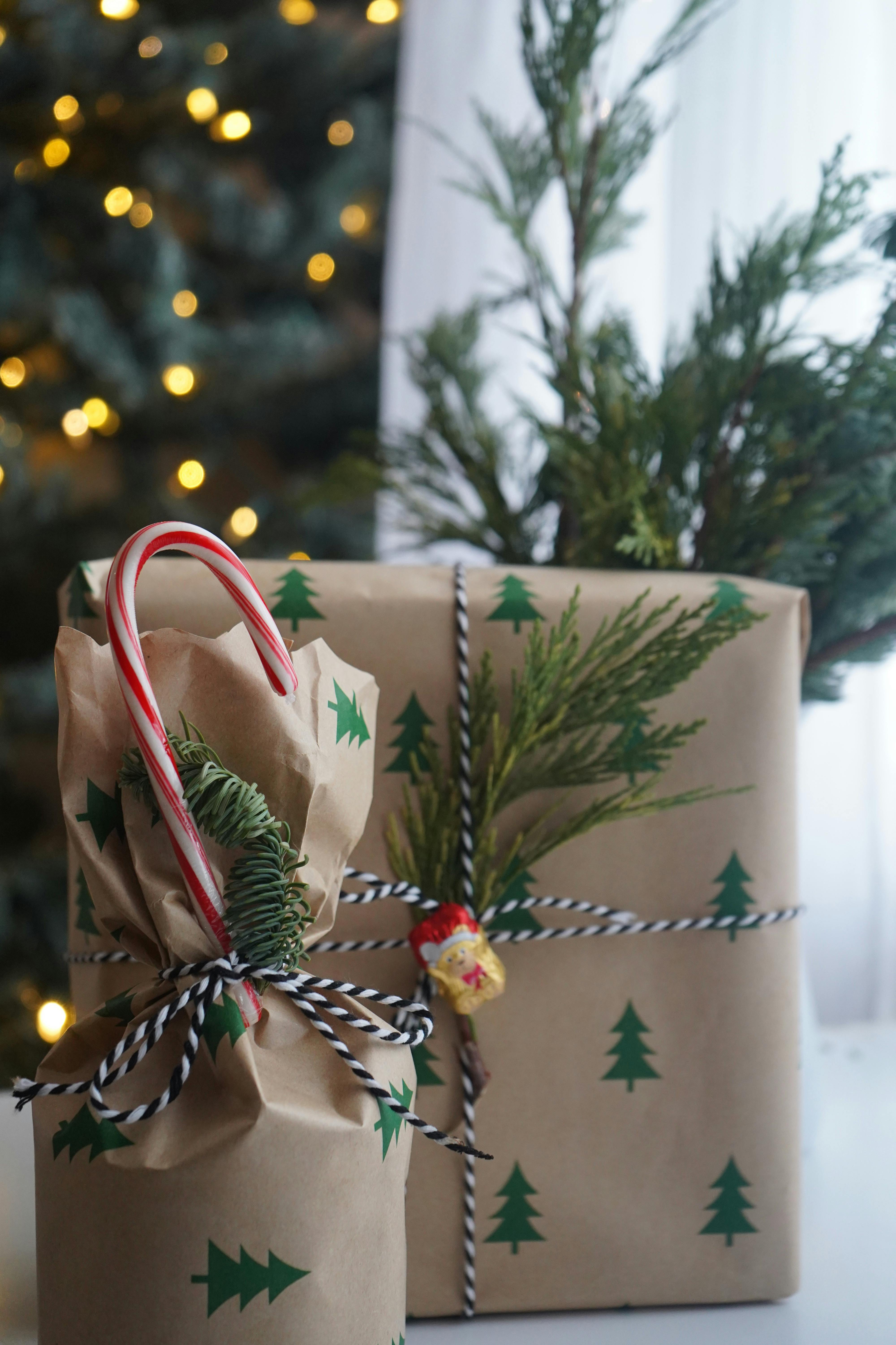 Rustic Christmas Gift Wrapped in Pine Design Paper · Free Stock Photo