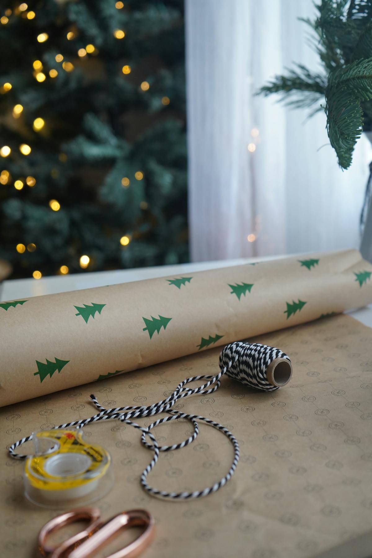 Wrapping Photos, Download The BEST Free Wrapping Stock Photos & HD Images