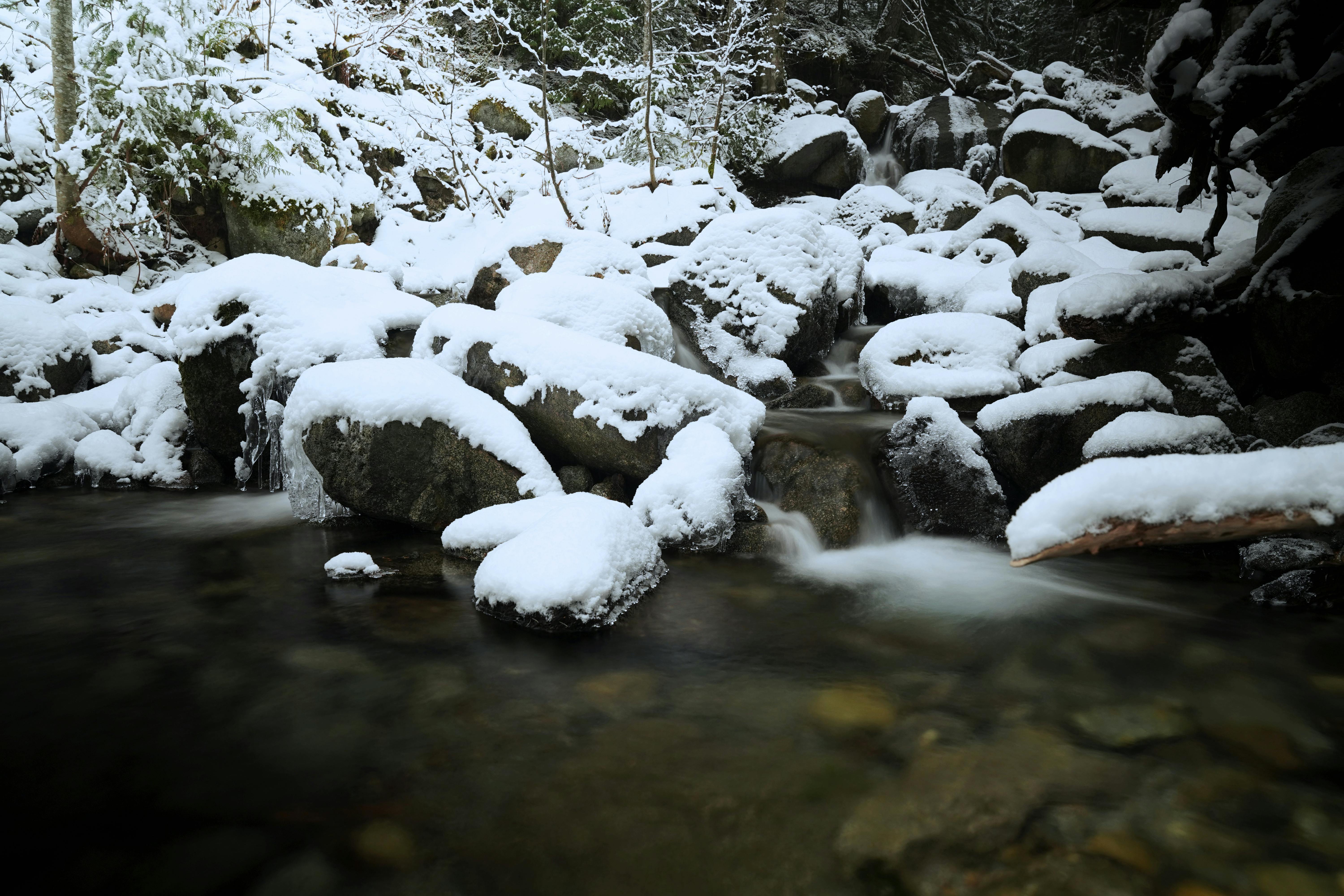 Serenity in Snowy Forest Stream Scene · Free Stock Photo