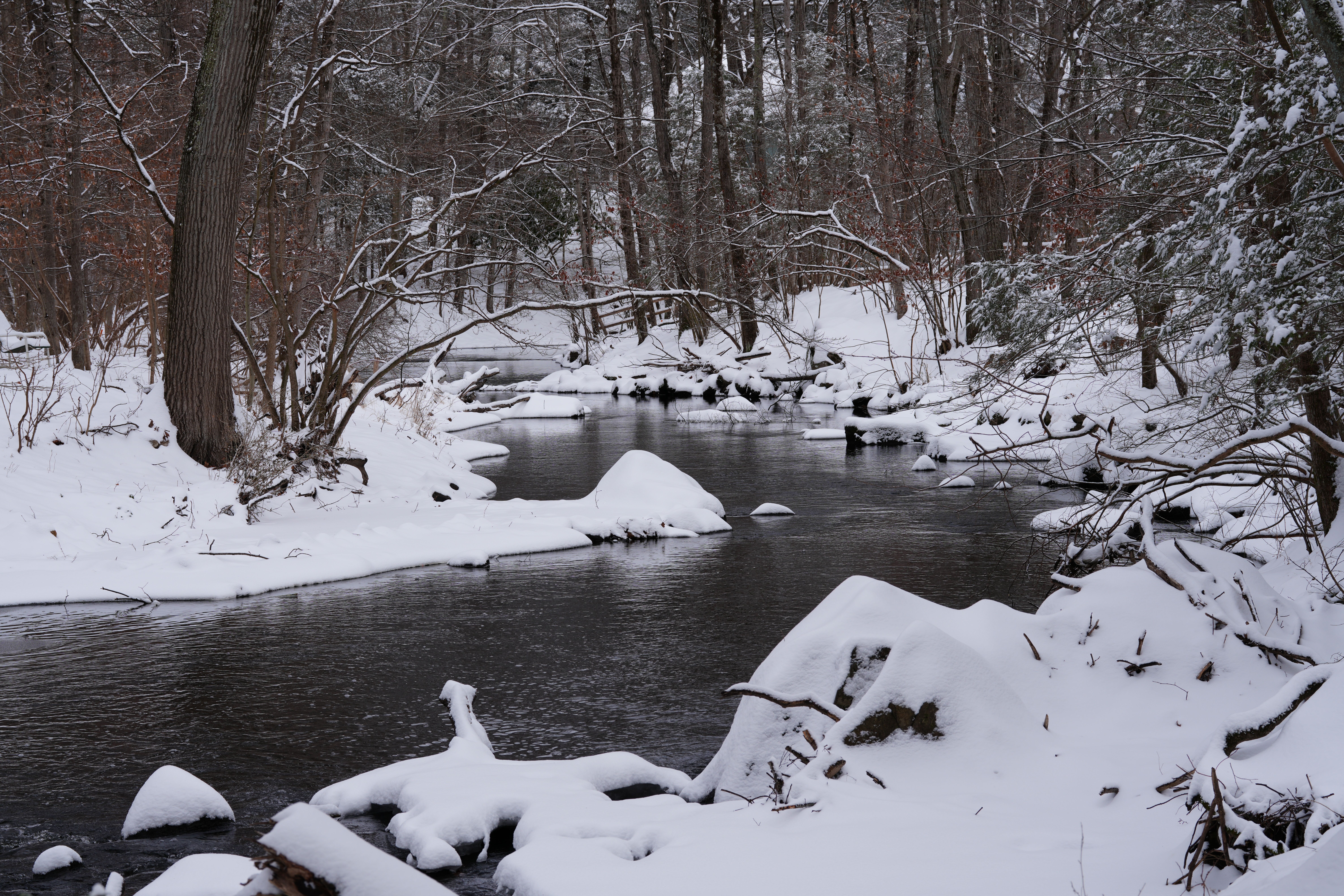 Snow-Covered River in Winter Forest, Stamford · Free Stock Photo