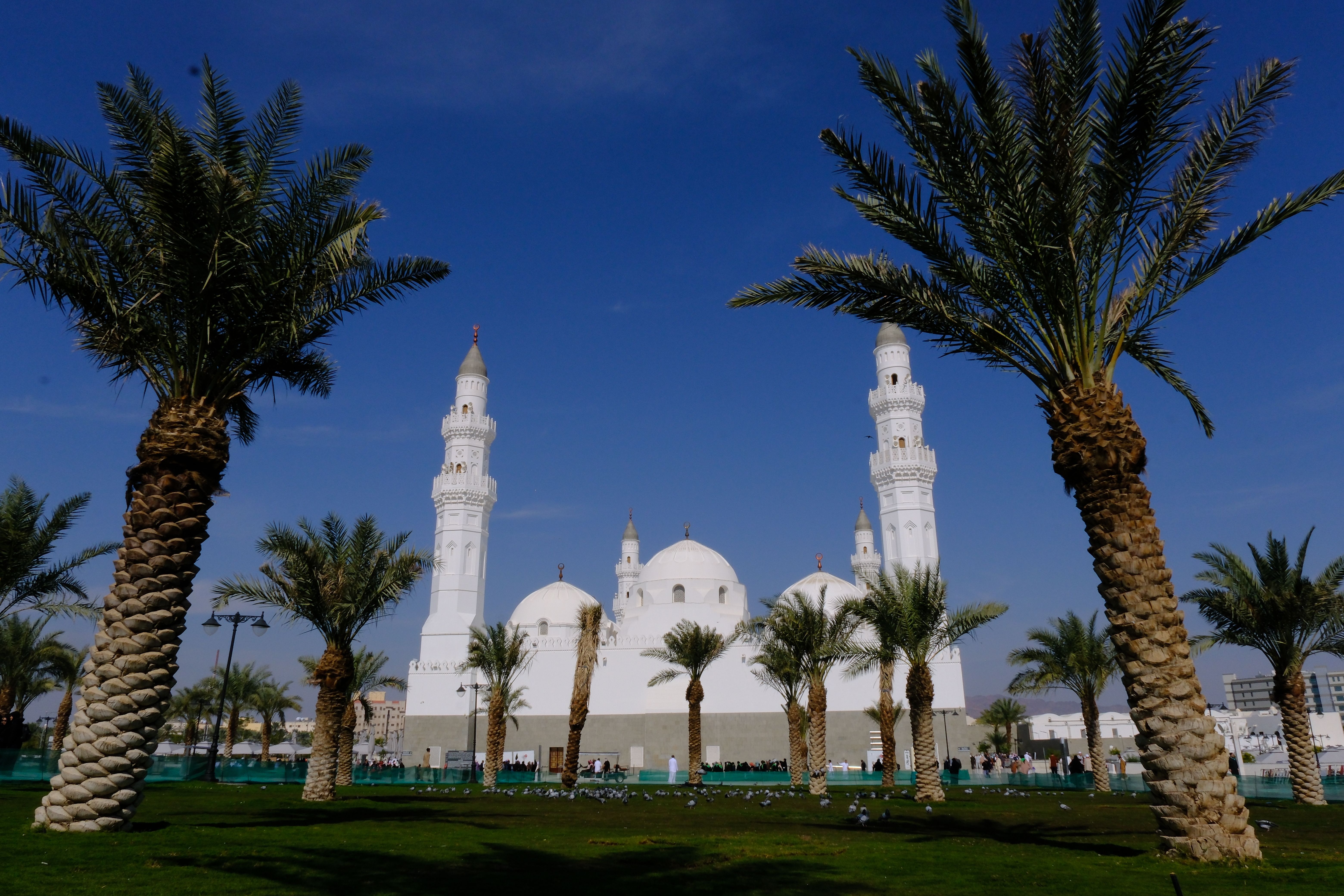 Al Jami Mosque Photos, Download The BEST Free Al Jami Mosque Stock ...