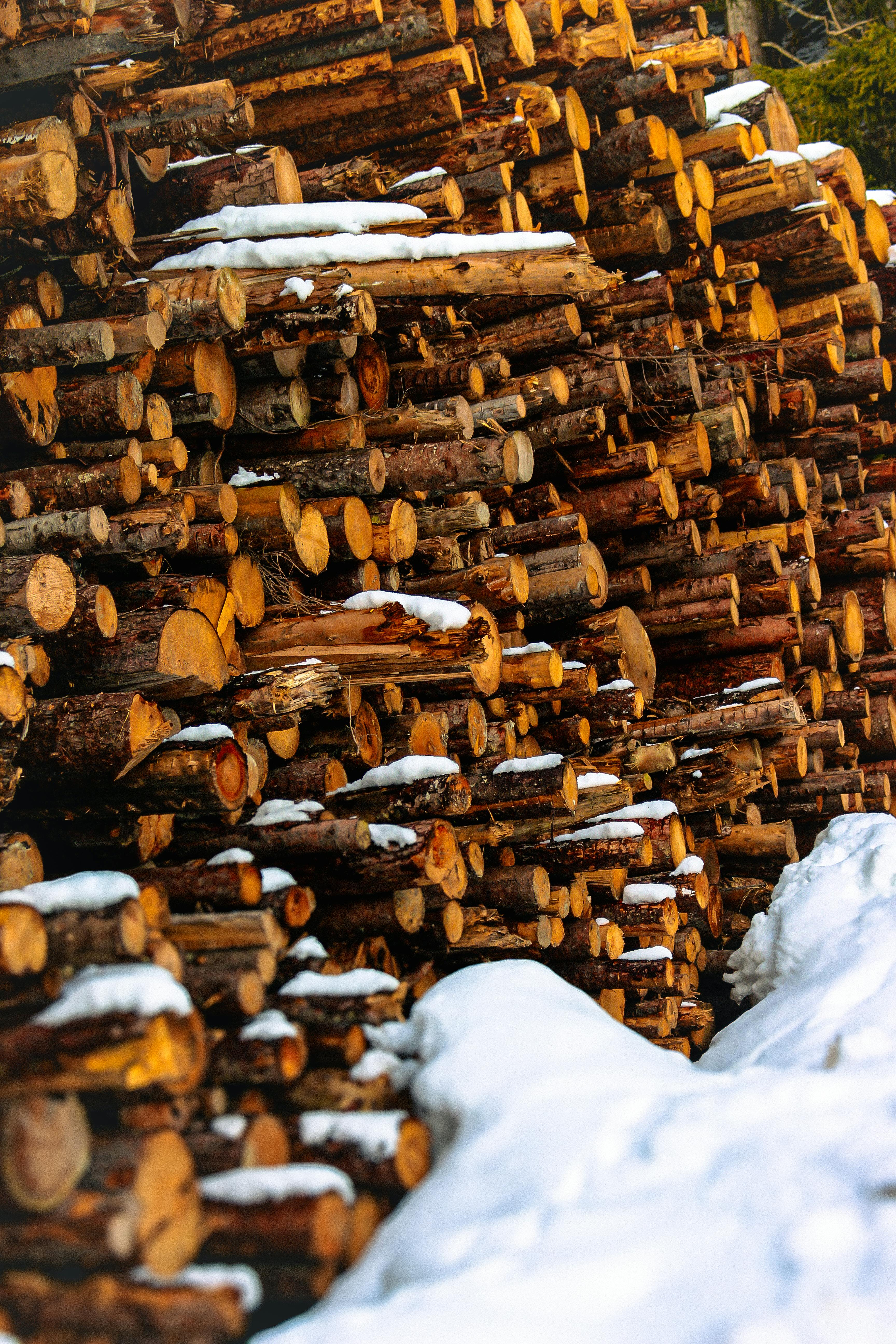Snow-Covered Logs Stacked in Tirol, Austria · Free Stock Photo