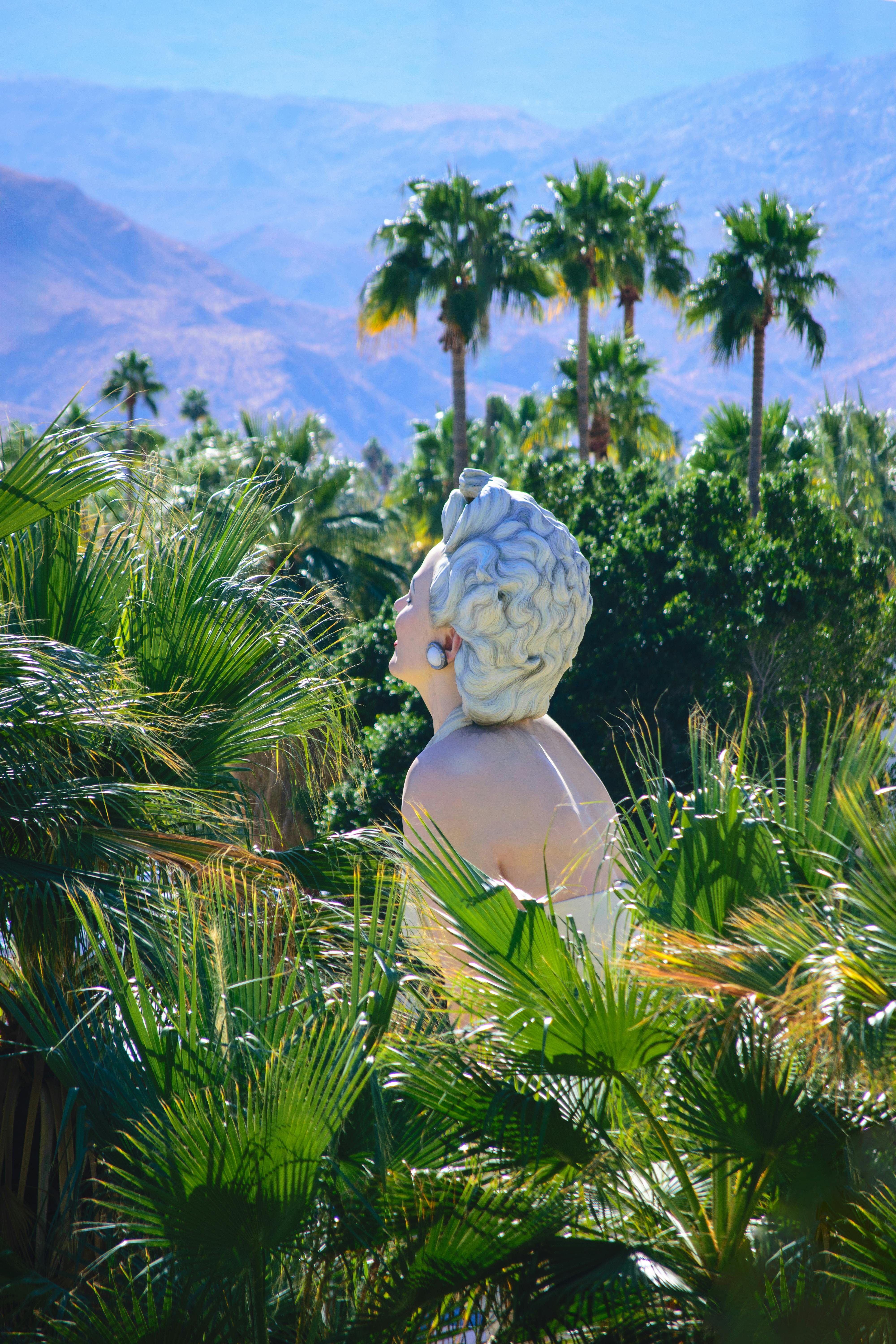 Iconic Marilyn Monroe Sculpture in Palm Springs · Free Stock Photo