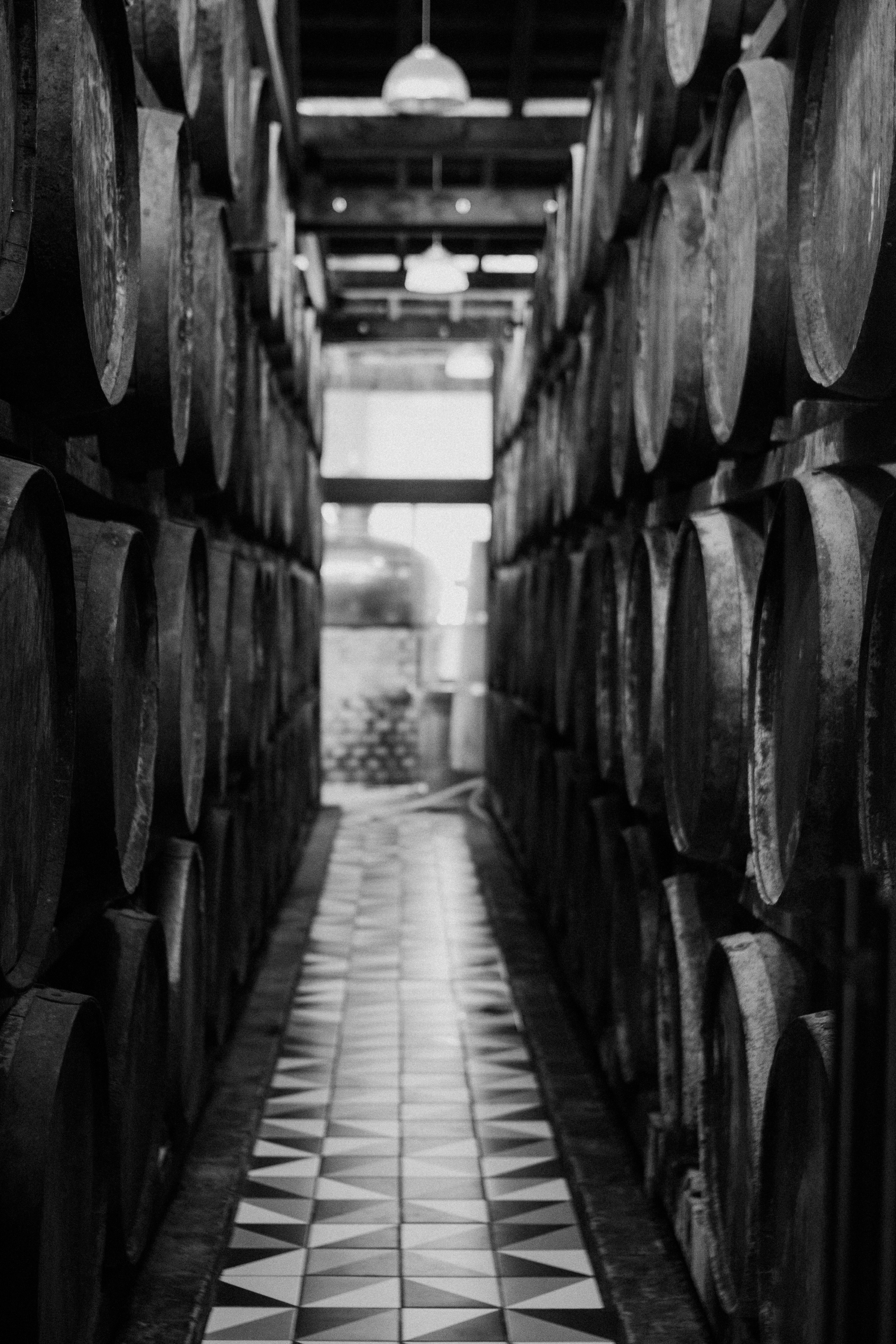 Black and White Wine Barrel Cellar Serenity · Free Stock Photo