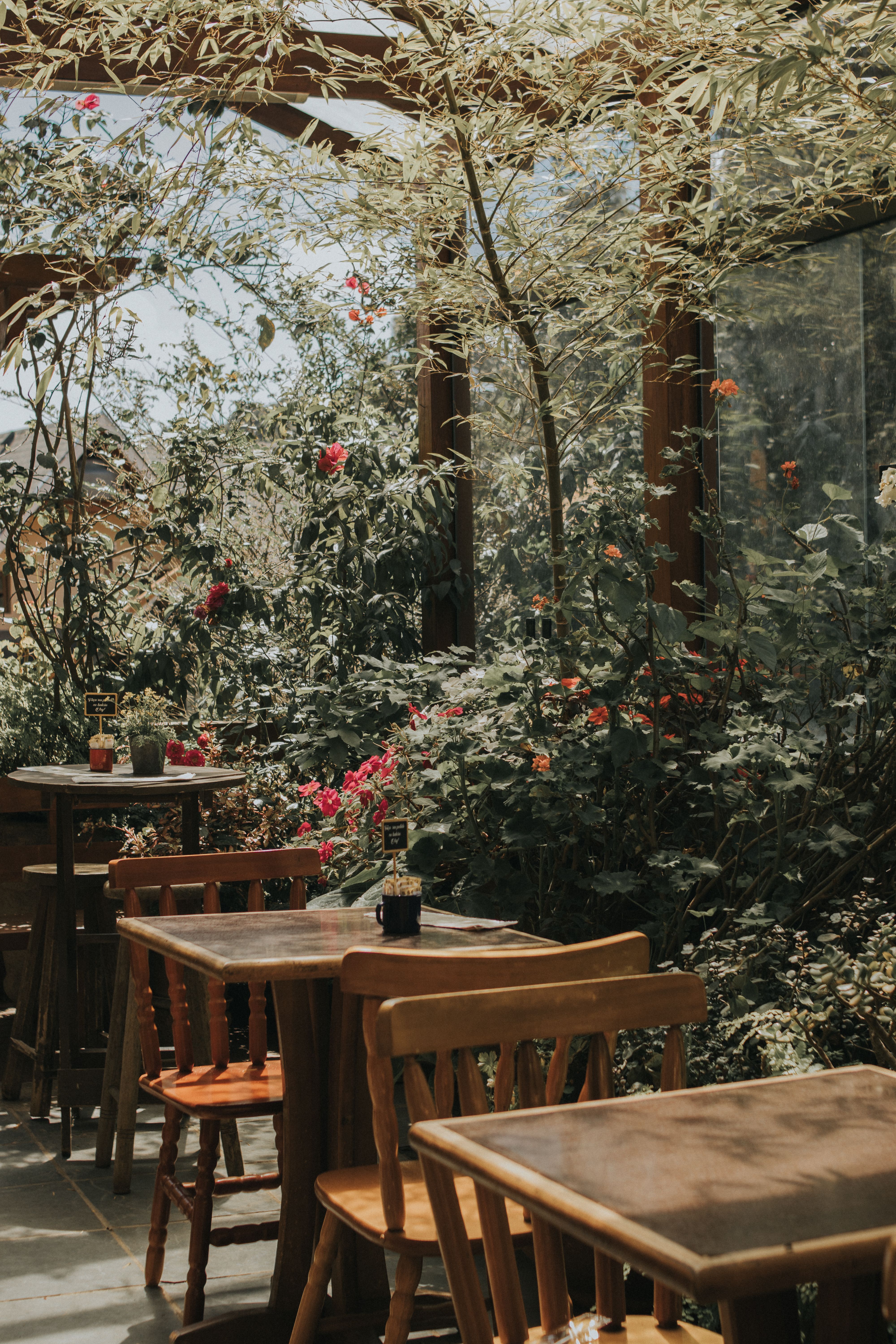 Cozy Wooden Outdoor Cafe with Lush Greenery · Free Stock Photo