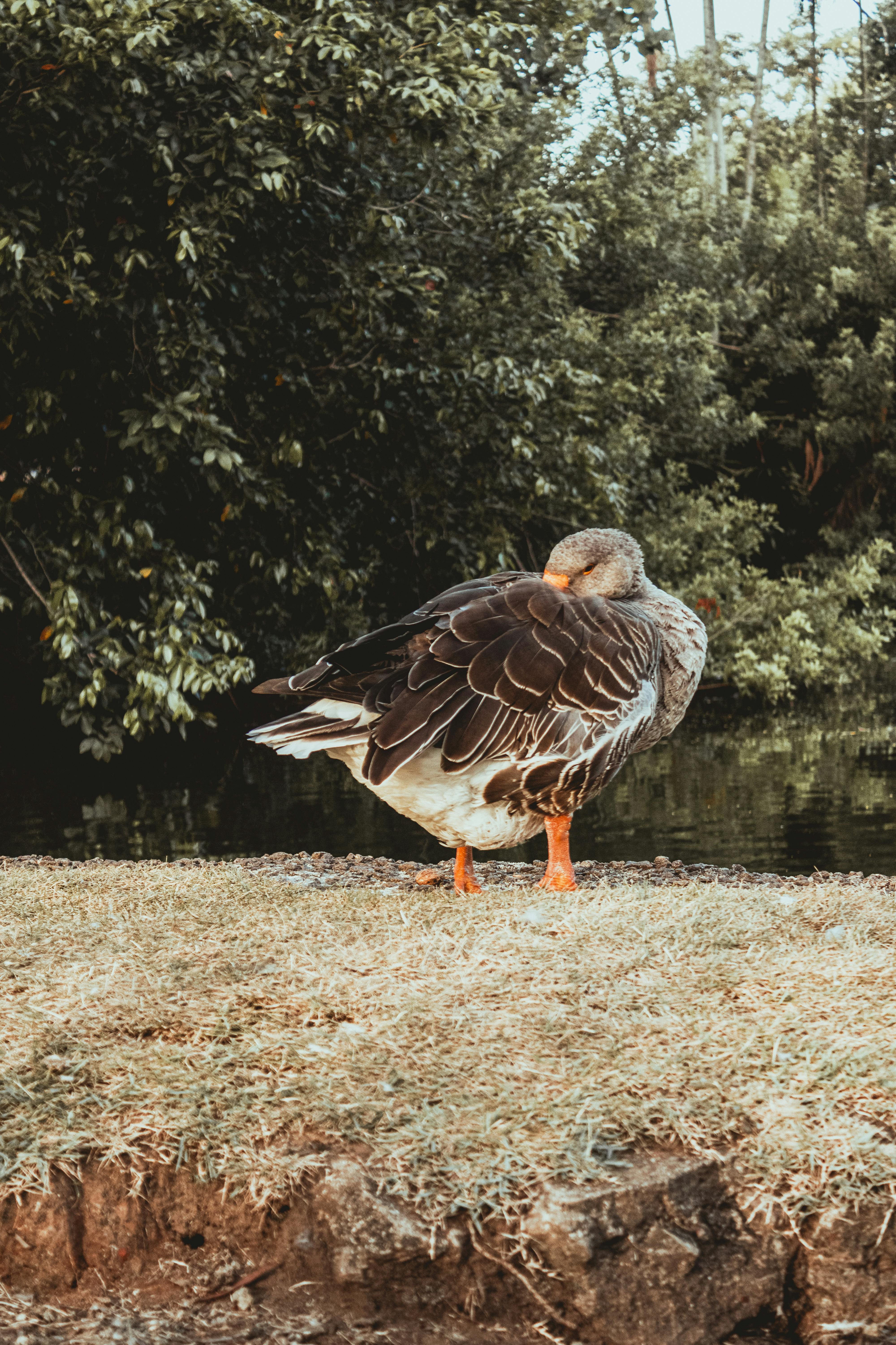 ¿Qué Es Photos, Download The BEST Free ¿Qué Es Stock Photos & HD Images