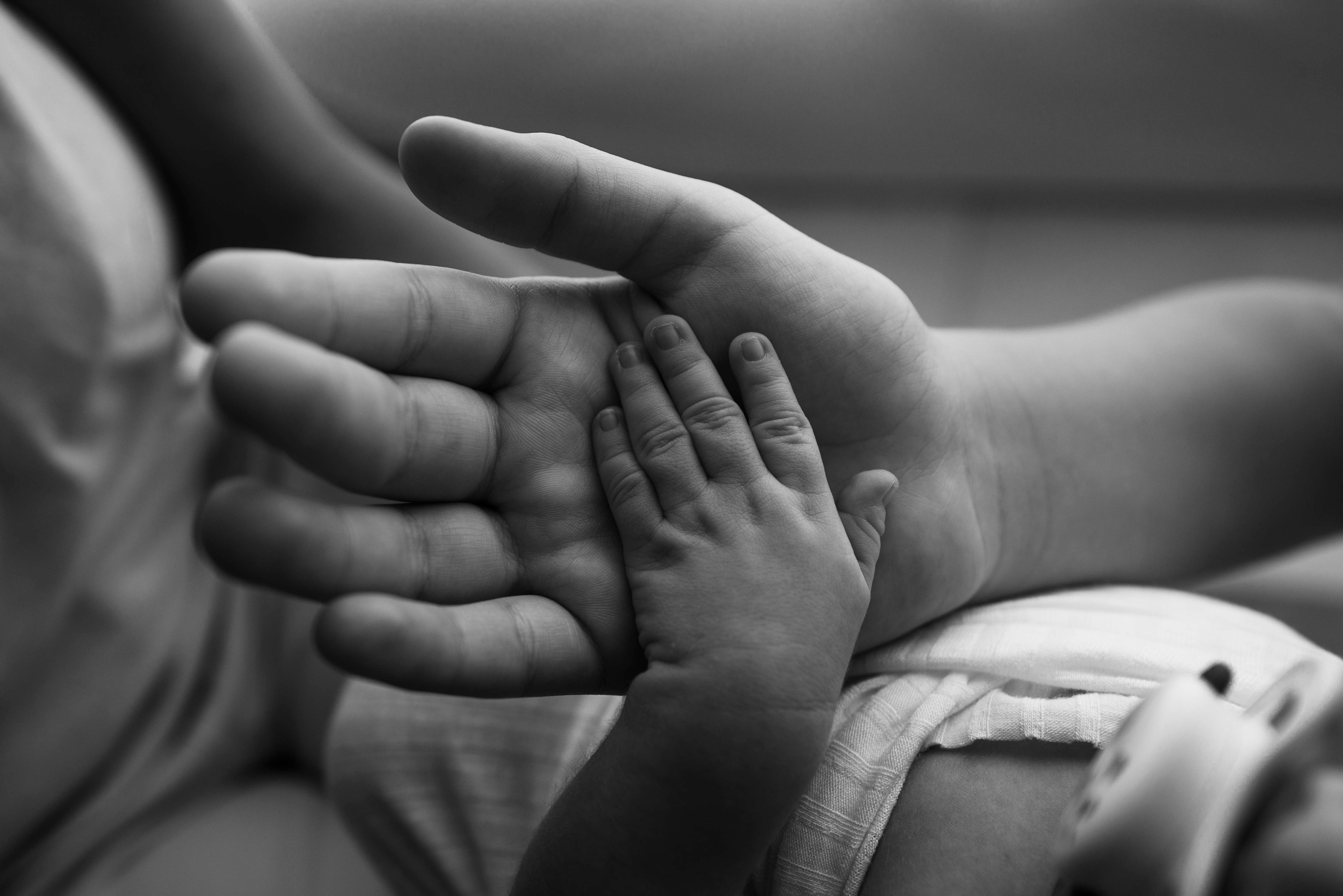 Un Vínculo Reconfortante: La Mano Del Bebé En La Palma De Los Padres ...