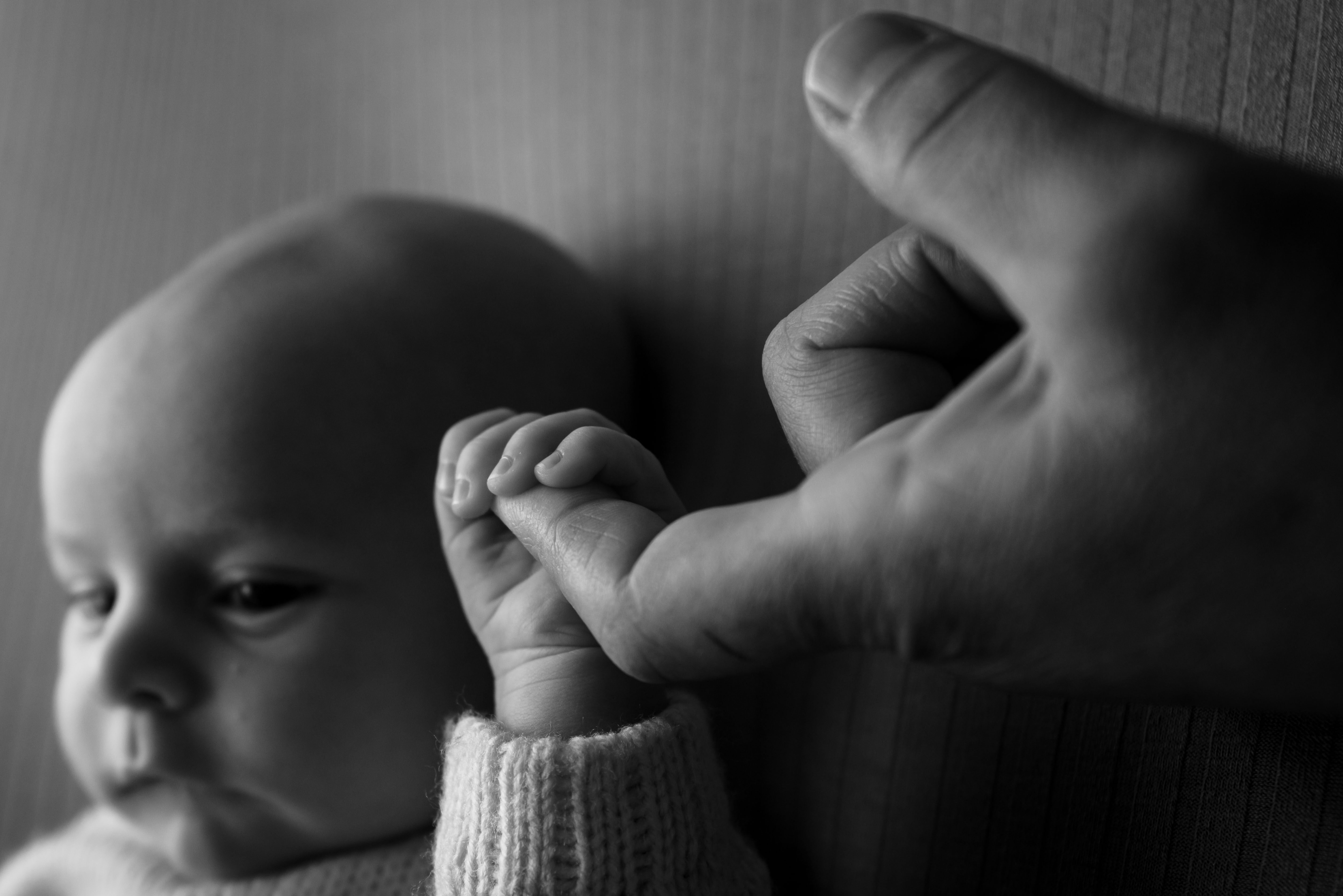 Baby Holding Parent's Finger in Black and White · Free Stock Photo