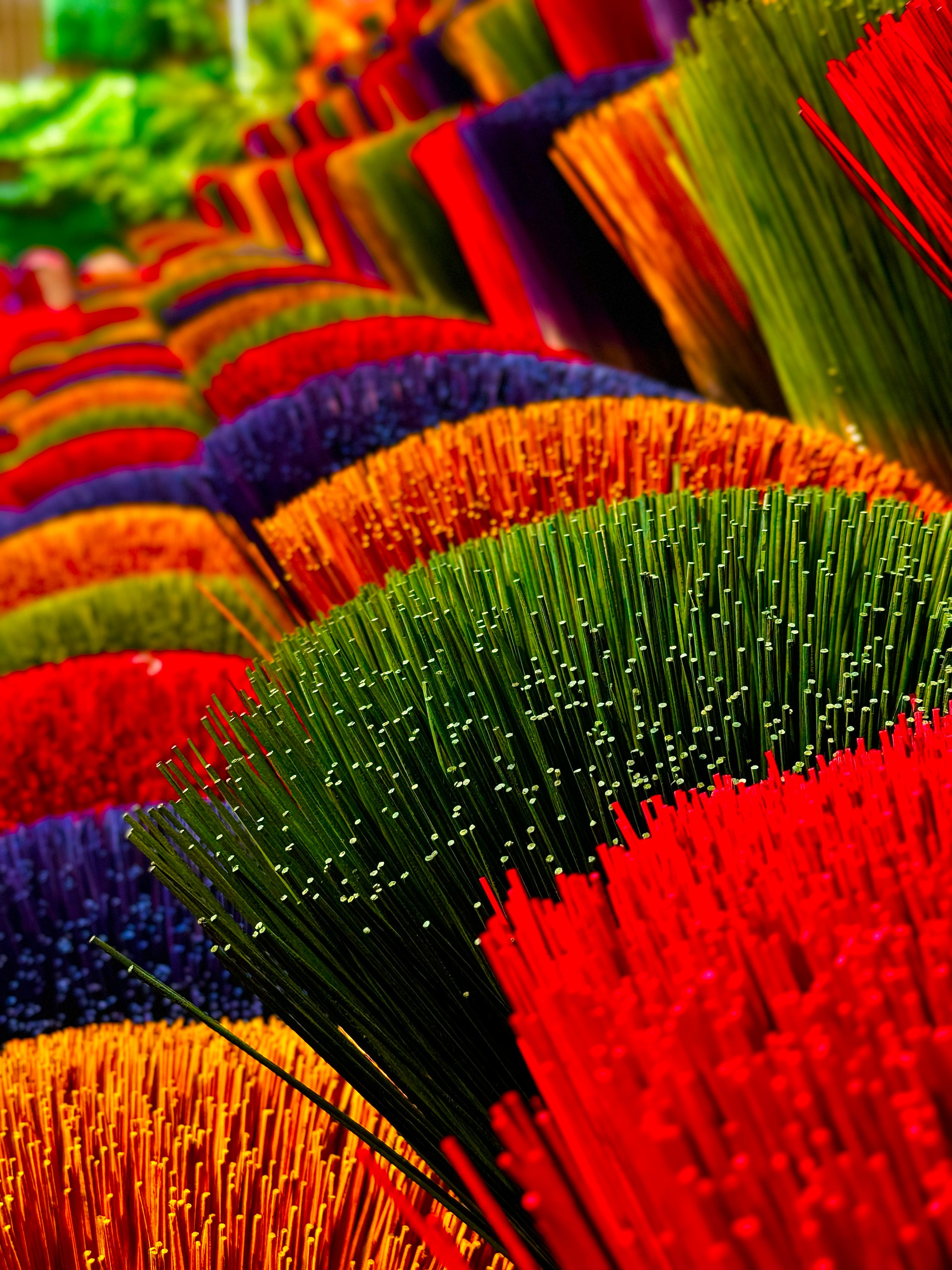 Colorful Bamboo Brooms in Vibrant Display · Free Stock Photo