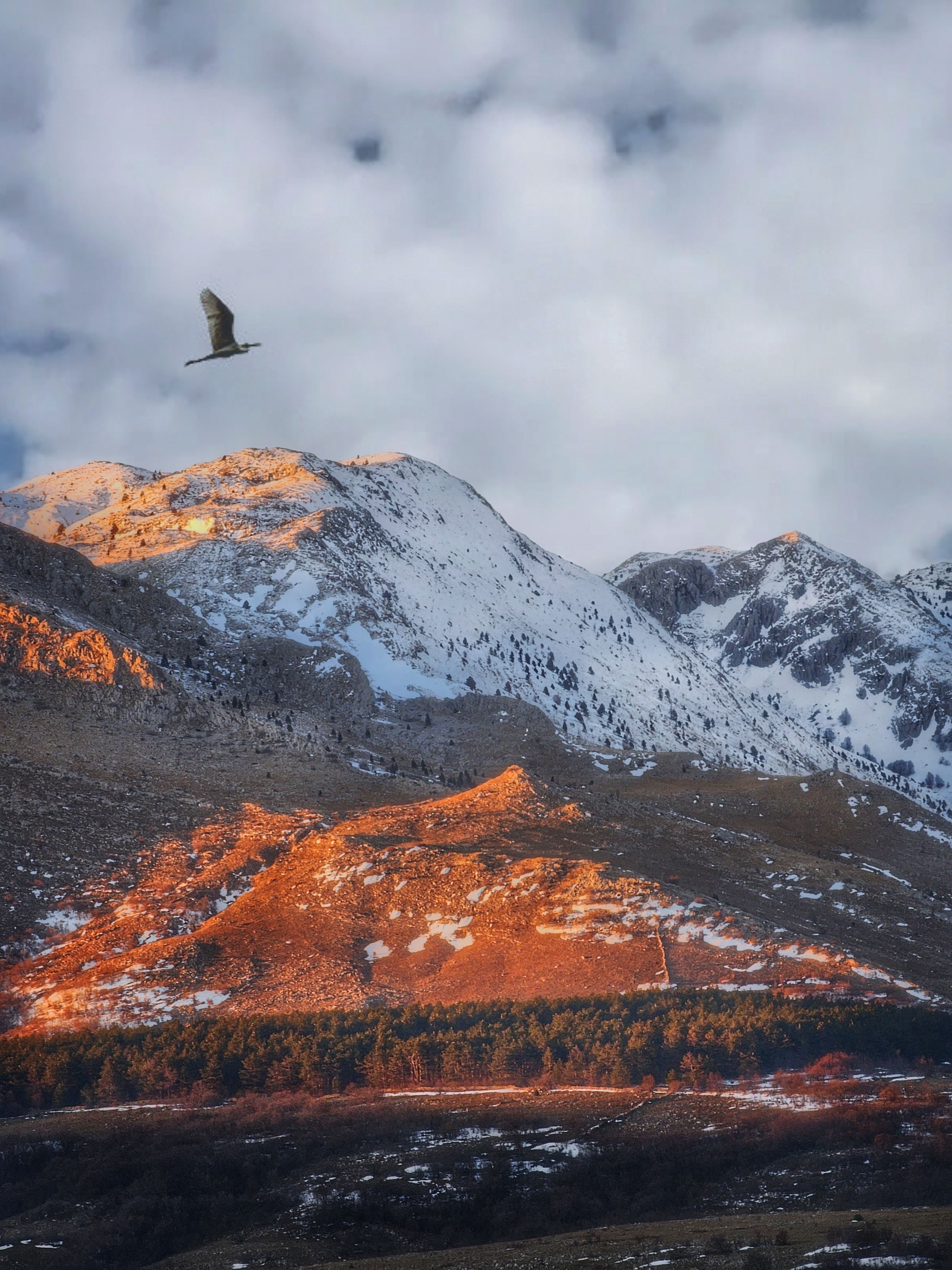 Snow-Capped Mountains with Bird in Mostar · Free Stock Photo