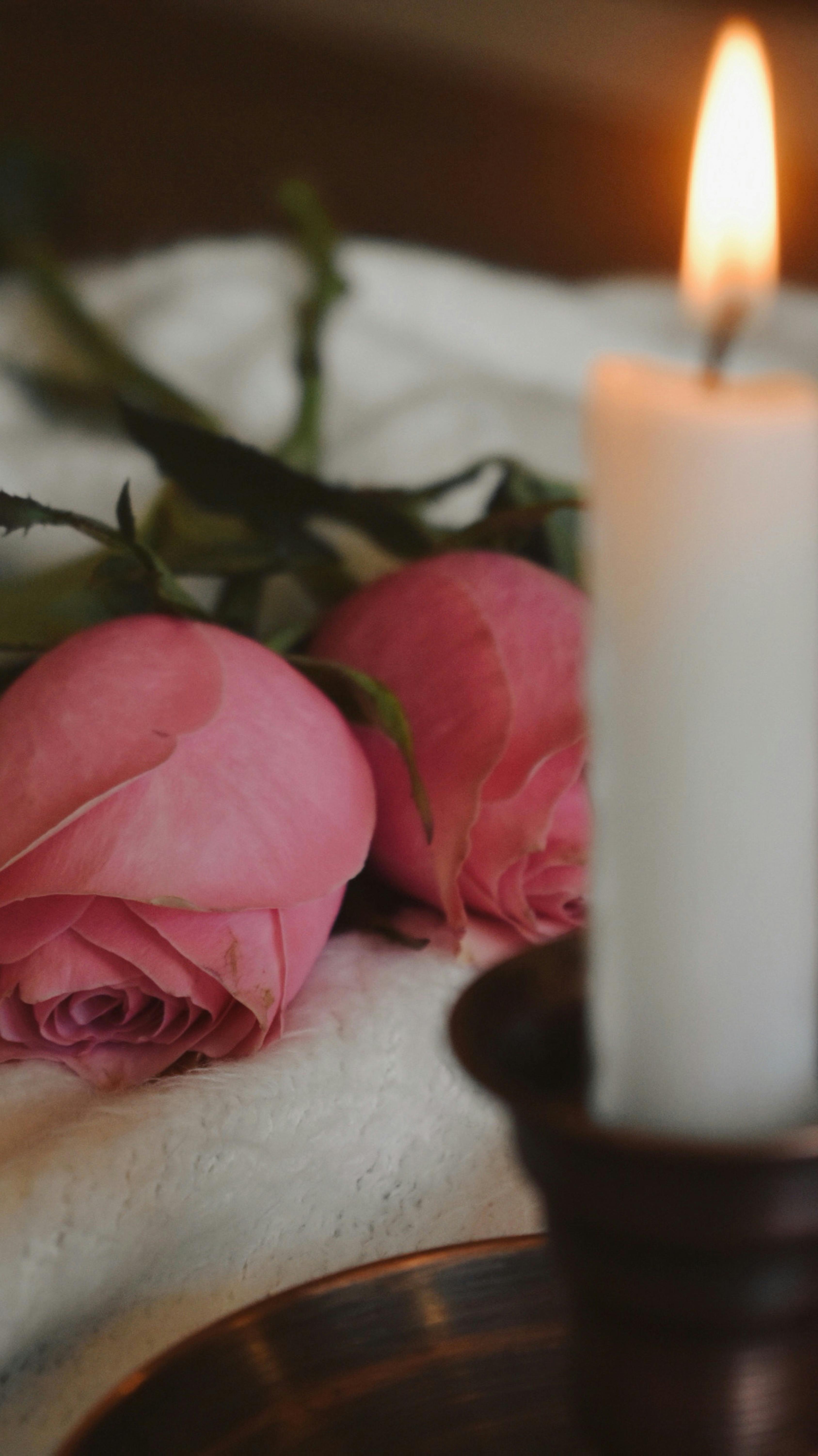 Romantic Pink Roses with Candlelight Ambiance · Free Stock Photo