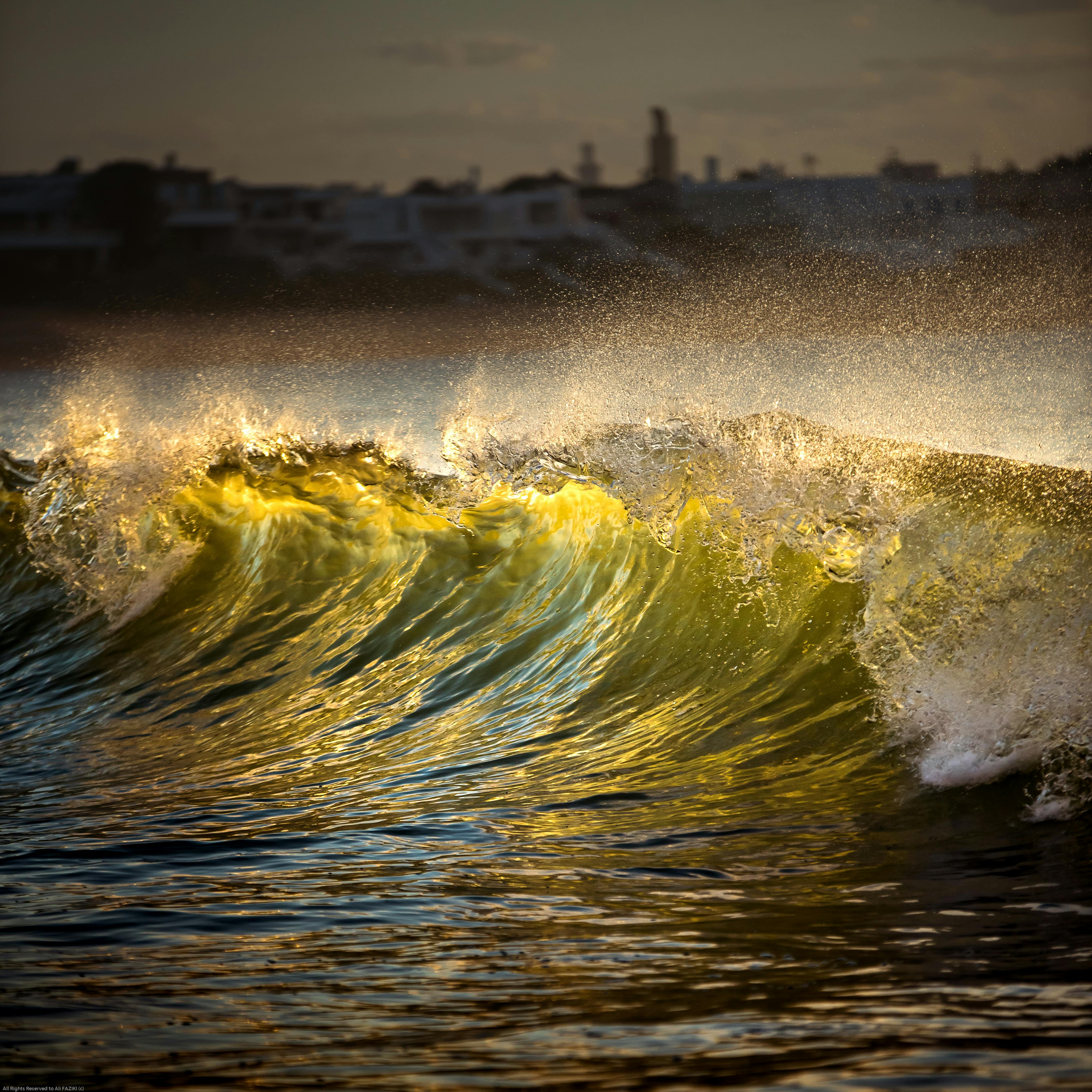 Dramatic Wave at Sunset in Coastal Setting · Free Stock Photo