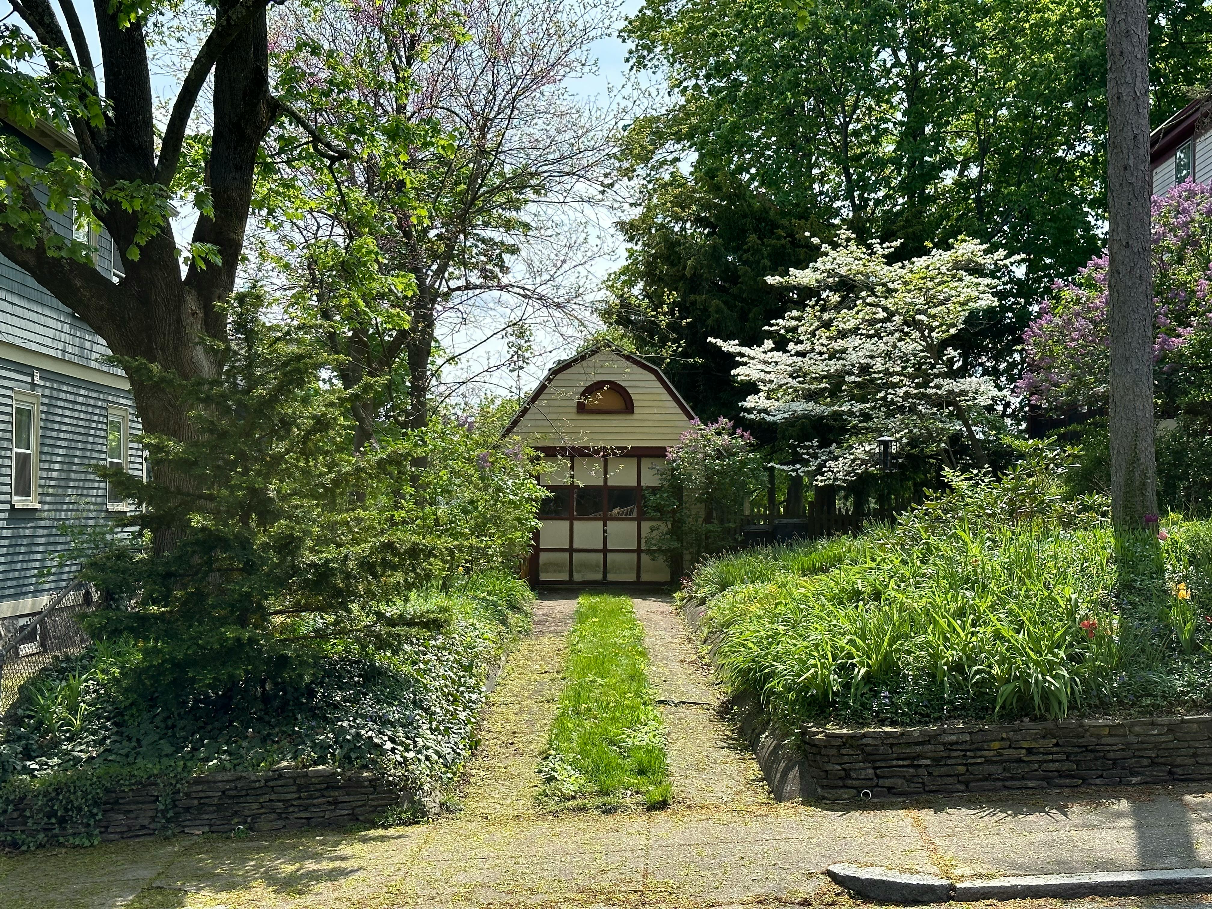 Charming Garden Pathway with Lush Greenery · Free Stock Photo