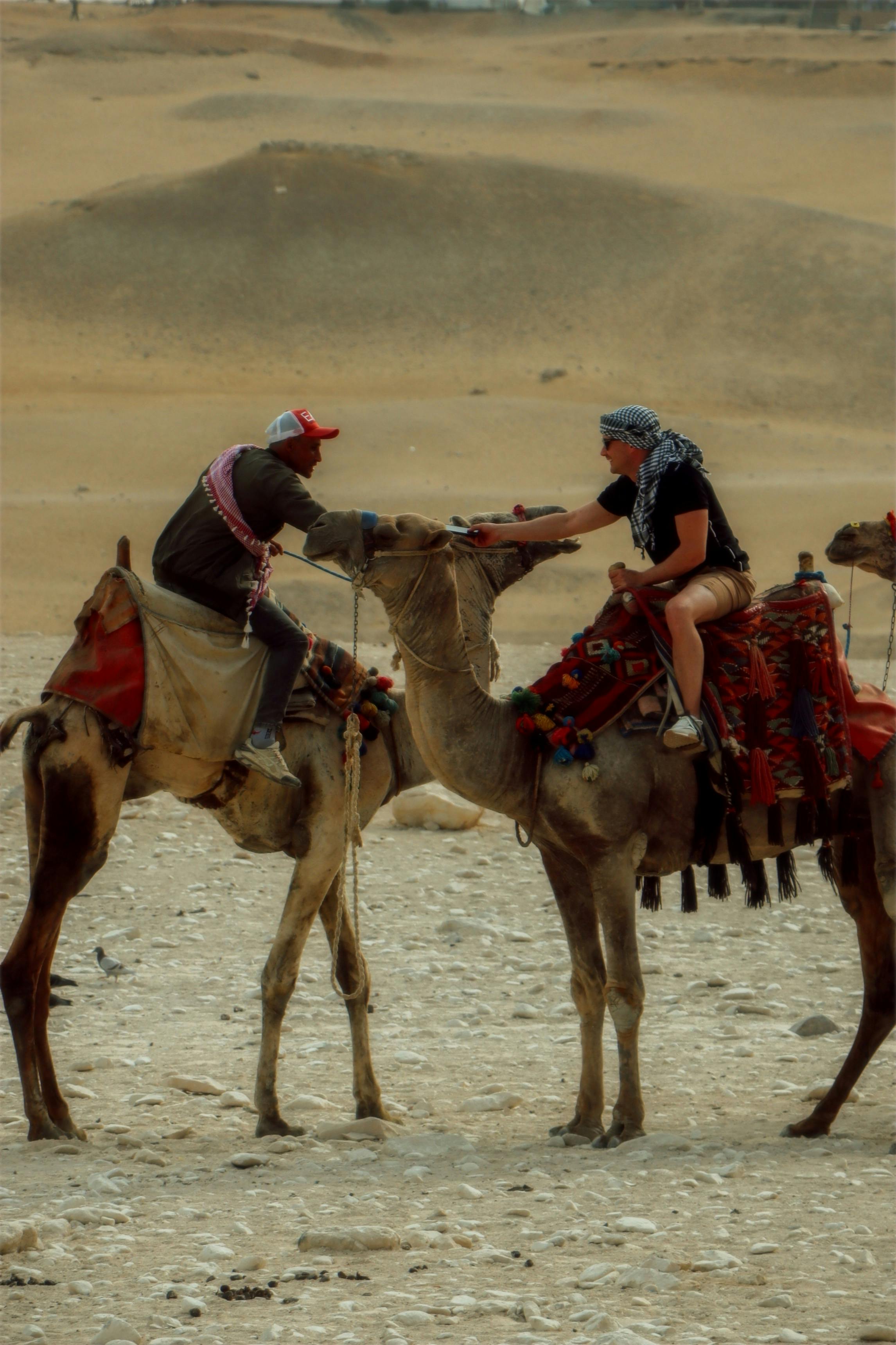 Human Riding Camel on Dessert Under White Sky during Daytime · Free ...