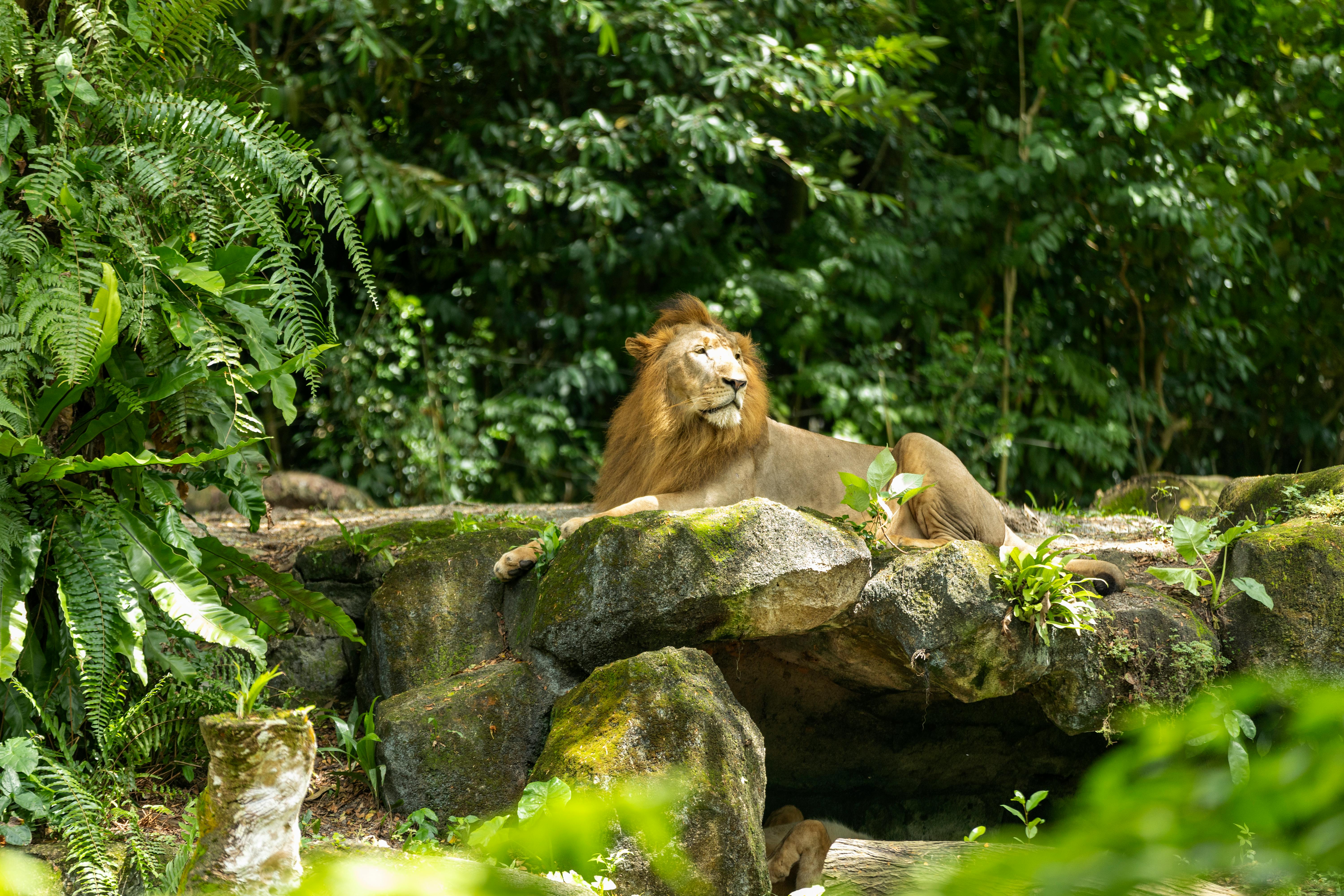 Alpha Photos, Download The BEST Free Alpha Stock Photos & HD Images