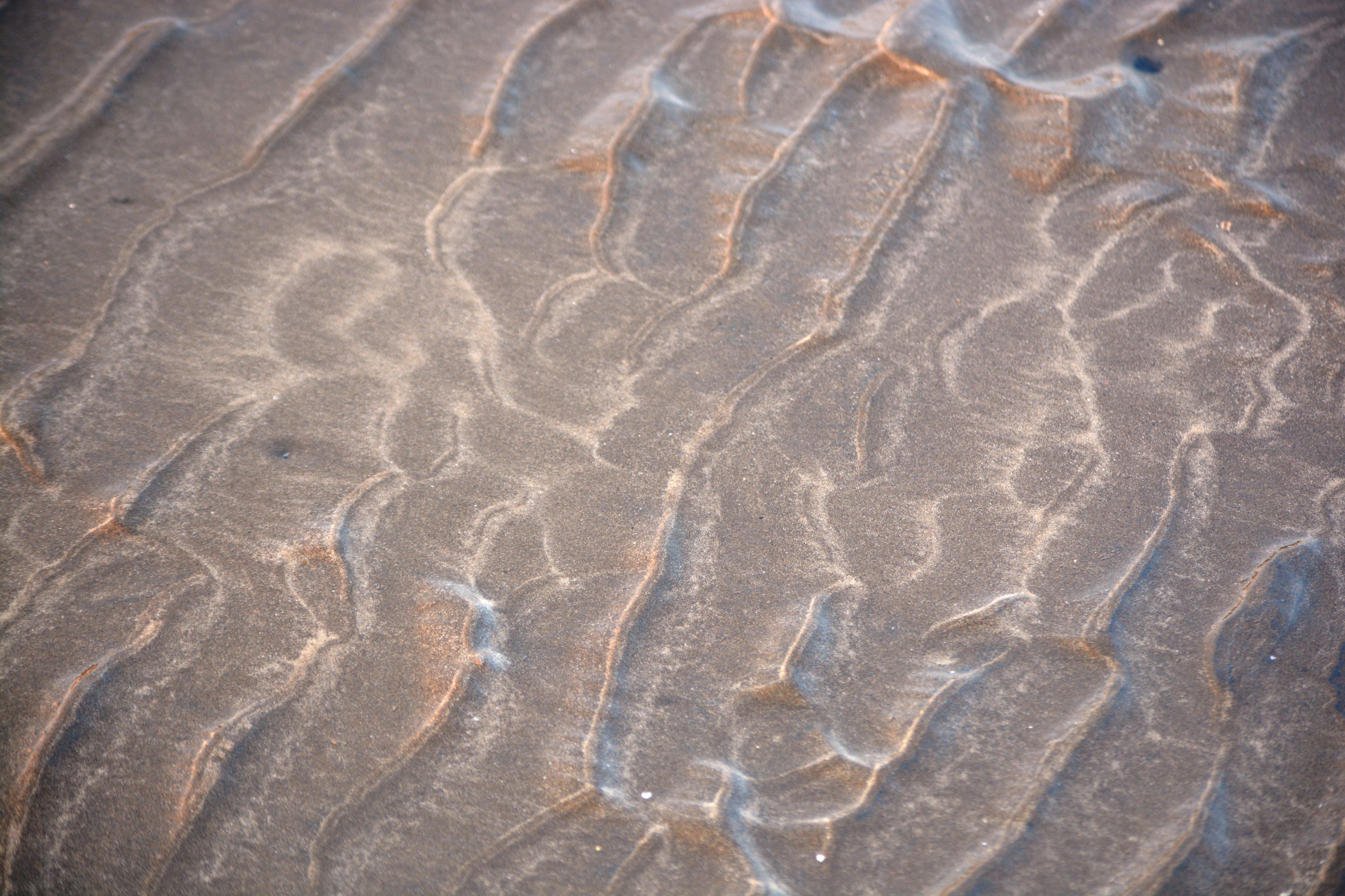 Beach Sand Patterns at Low Tide in Mumbai · Free Stock Photo