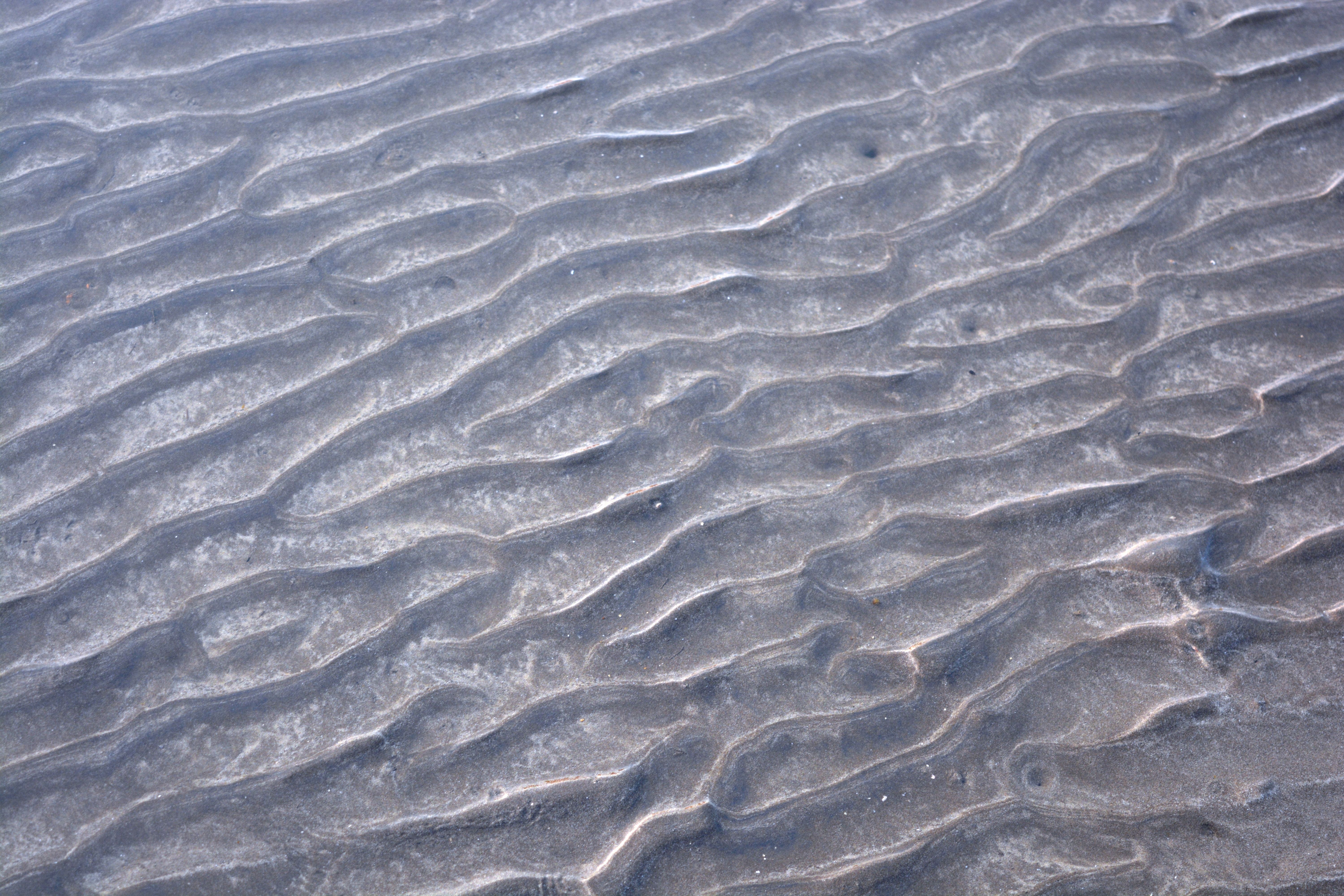 Ripples in Sand at Mumbai Beach · Free Stock Photo