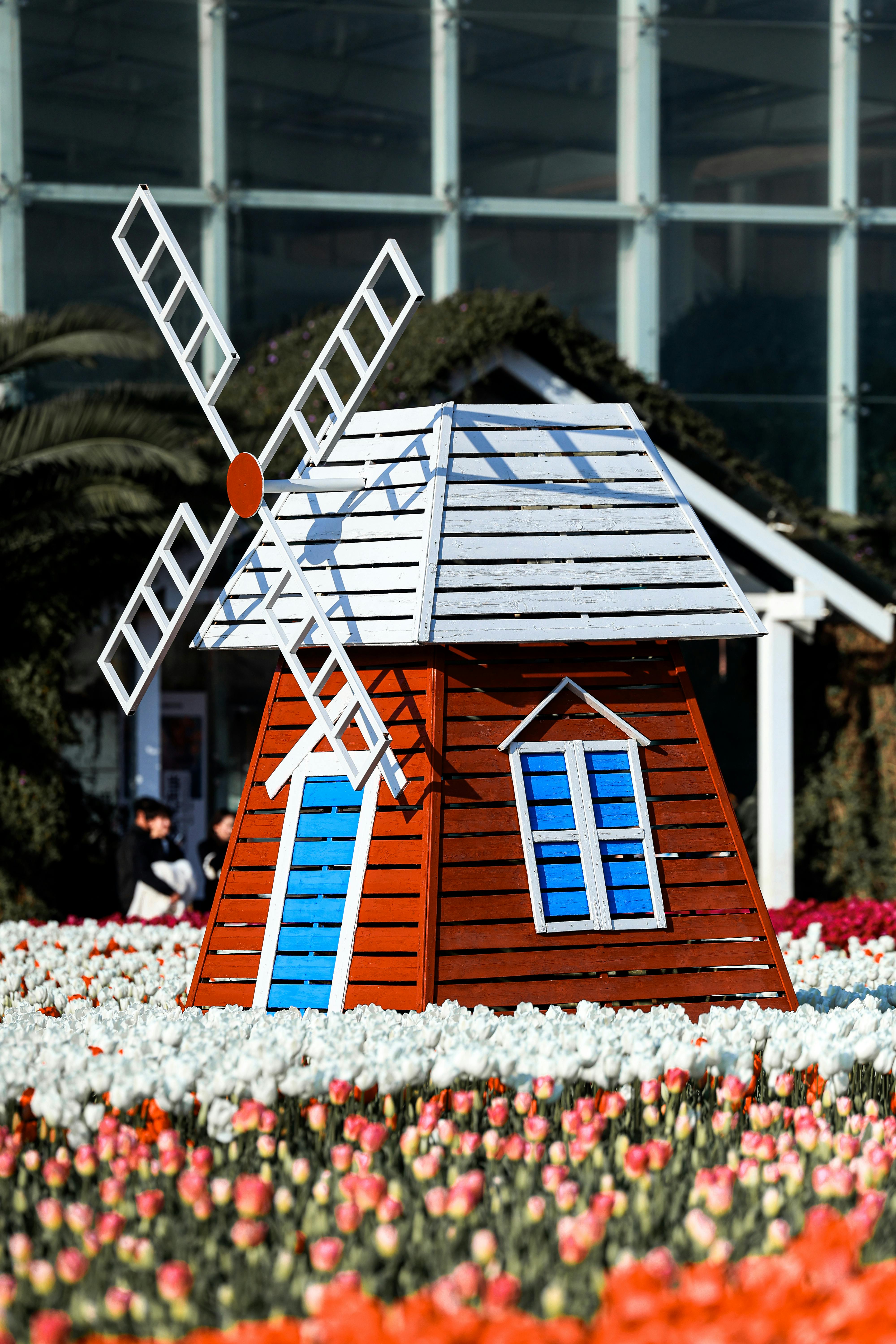 Colorful Windmill Surrounded by Vibrant Flowers · Free Stock Photo