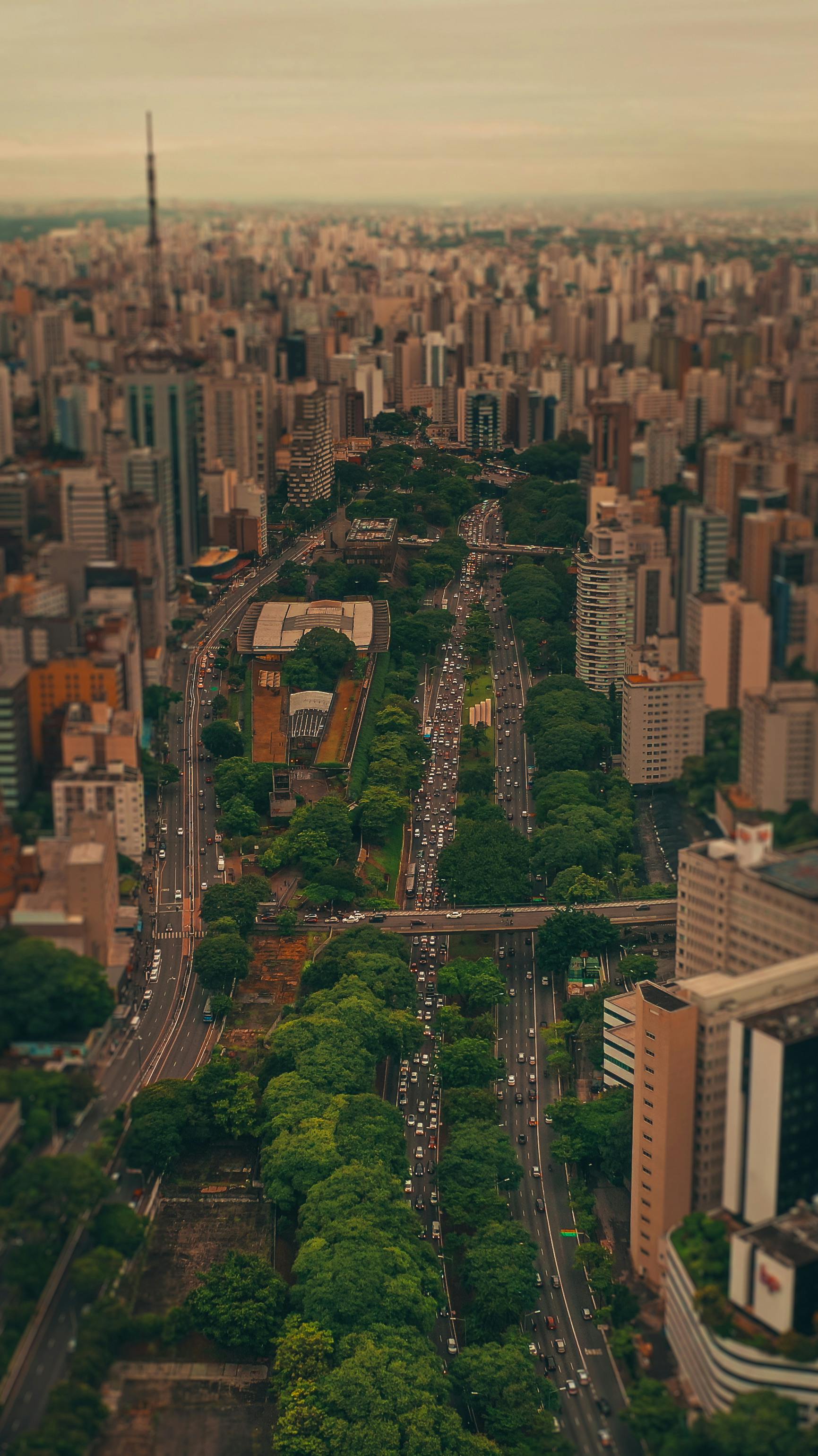 Aerial View of Busy City with Green Boulevards · Free Stock Photo