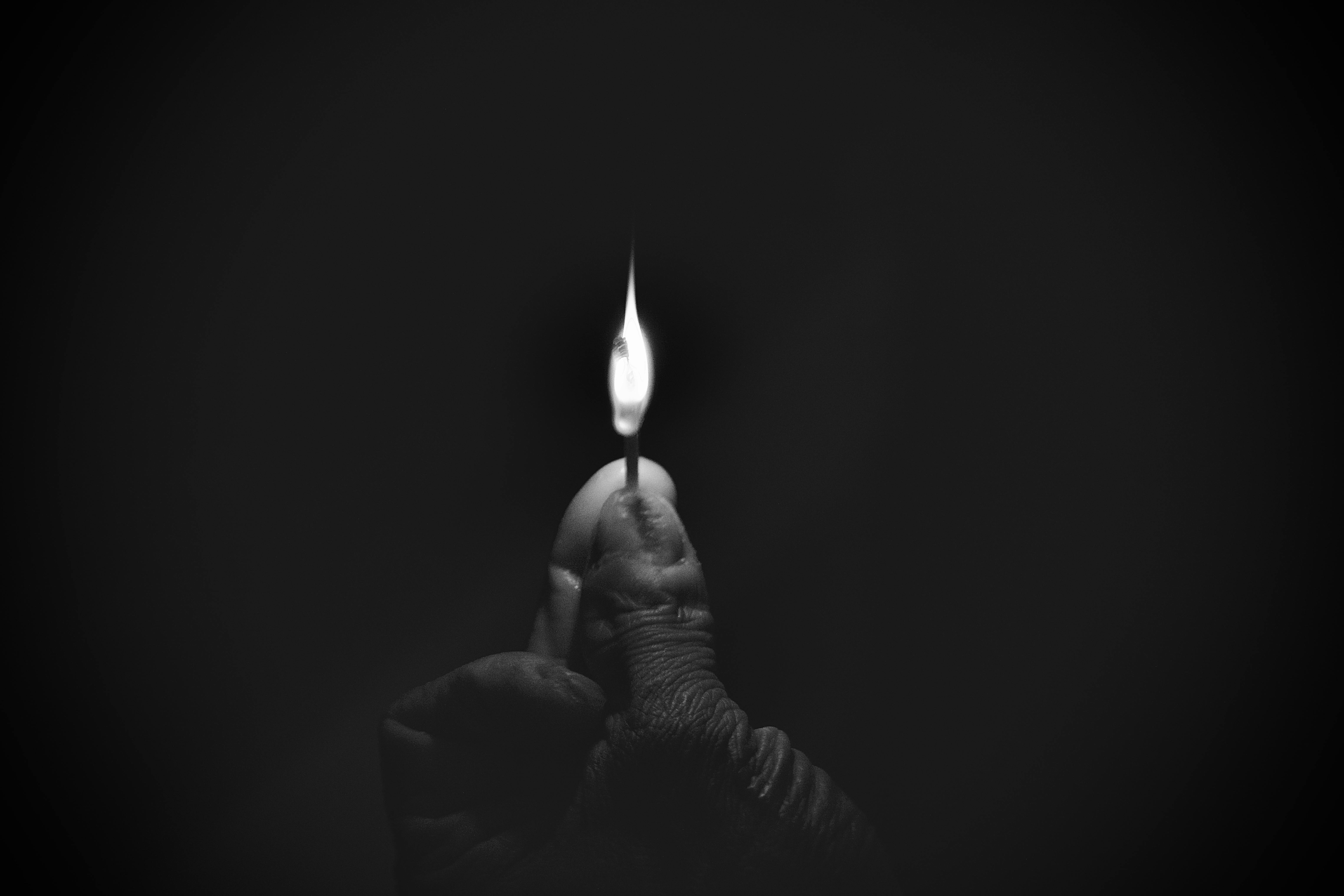 Hand On Fire Photos, Download The BEST Free Hand On Fire Stock Photos ...