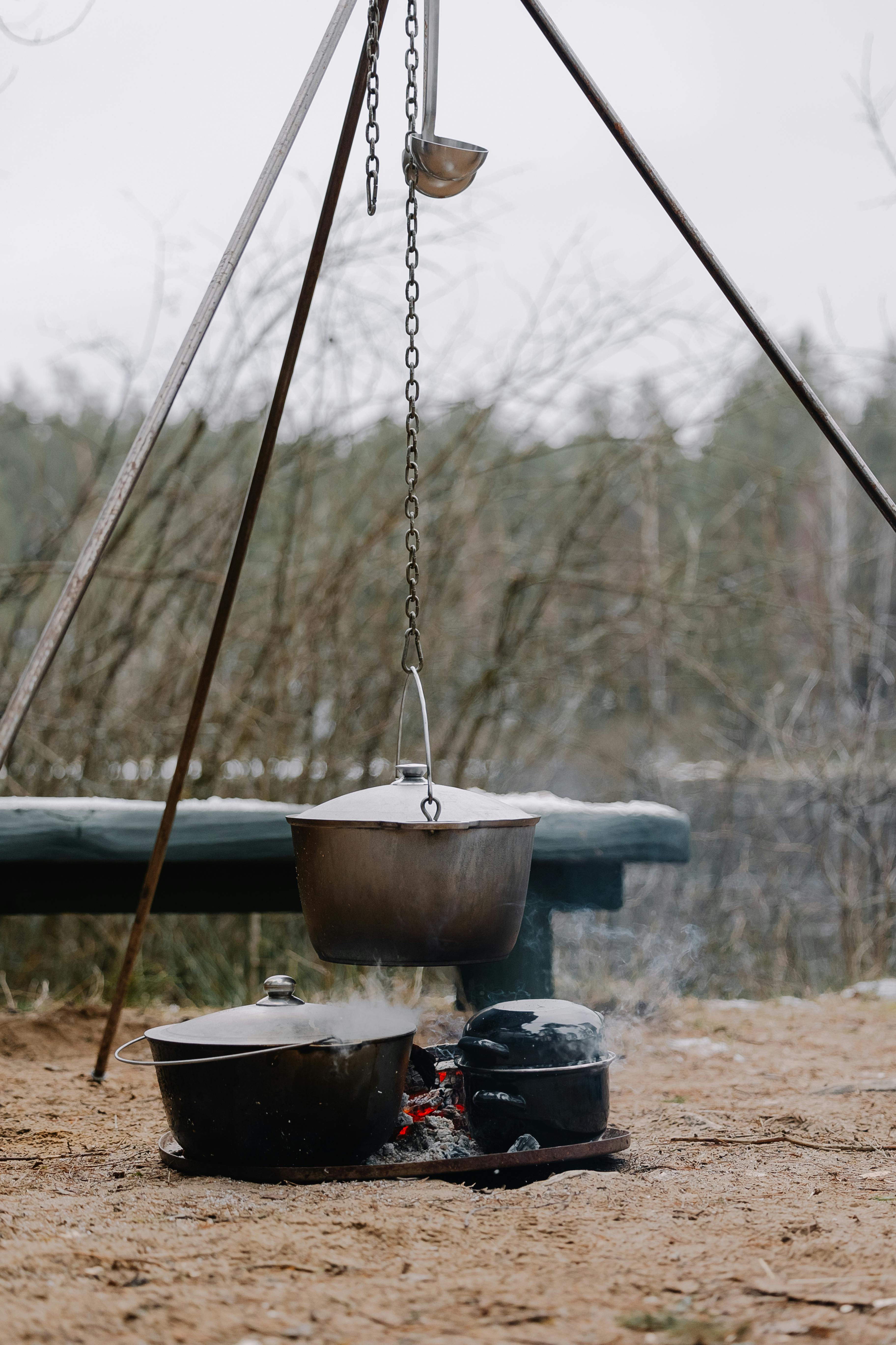 Outdoor Campfire Cooking Scene in Woodland Area · Free Stock Photo