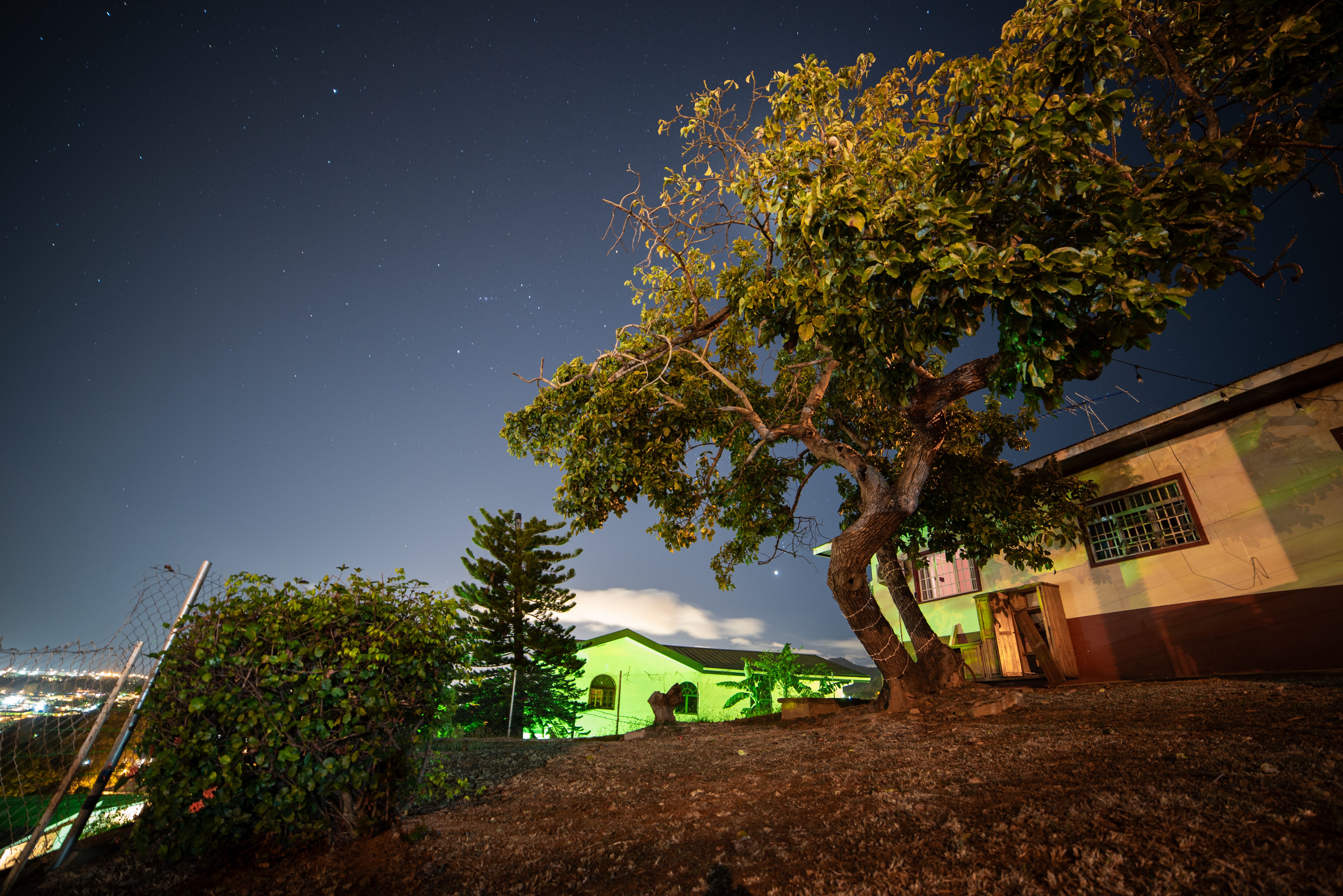 Starry Night Sky Over Trinidad and Tobago Yard · Free Stock Photo
