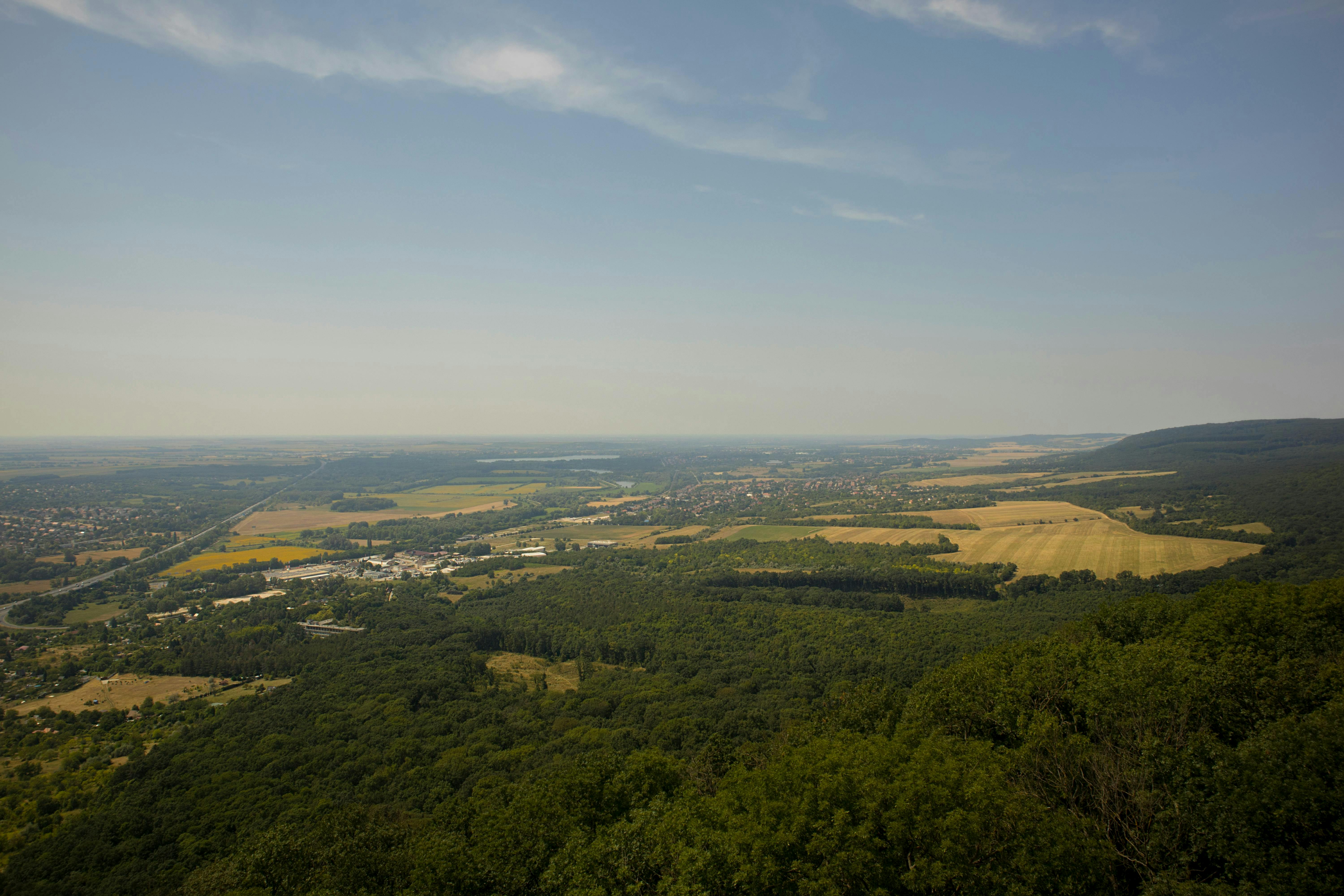 Expansive Aerial View of Verdant Landscape · Free Stock Photo
