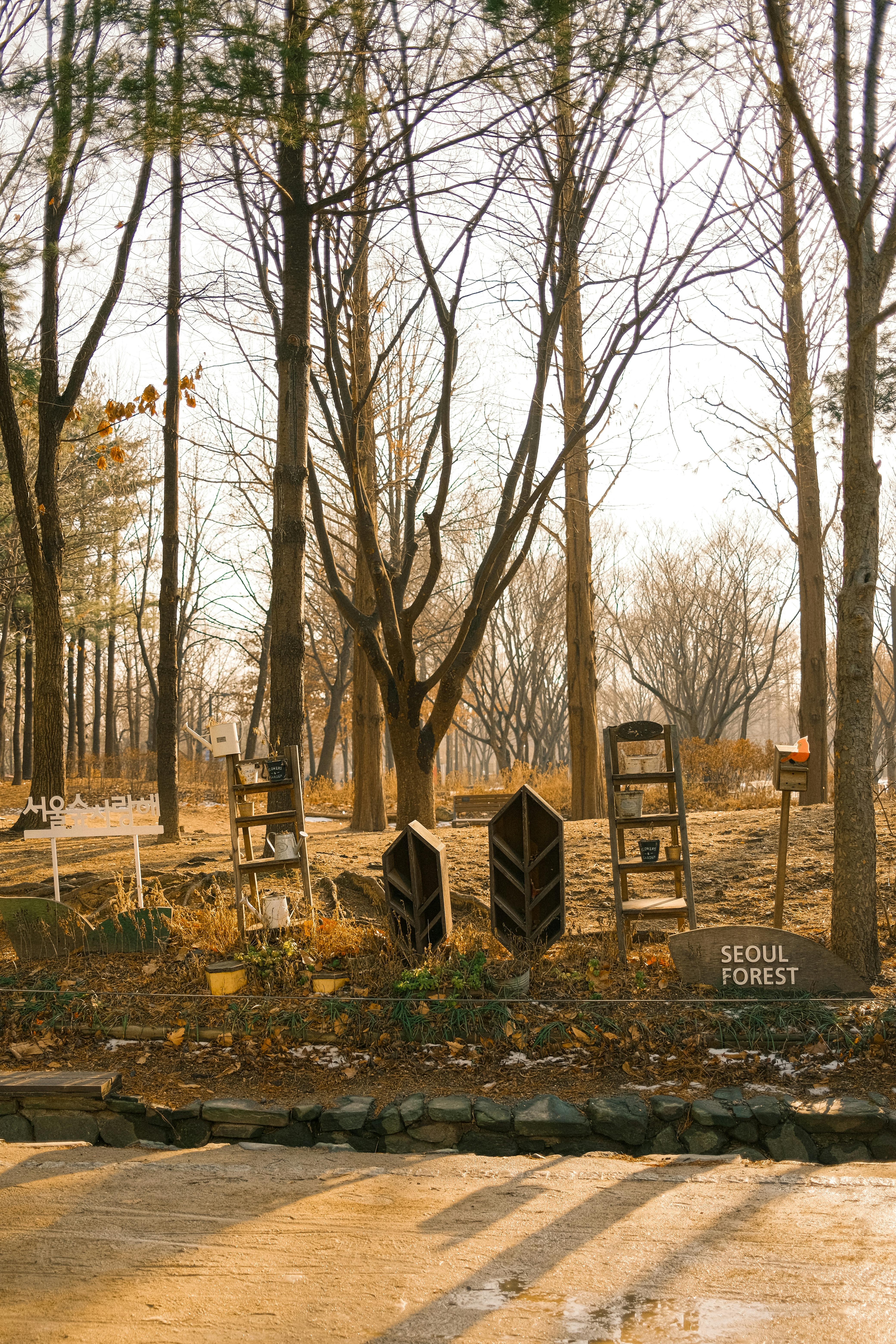 Foto de stock gratuita sobre al aire libre, árboles desnudos, árboles ...