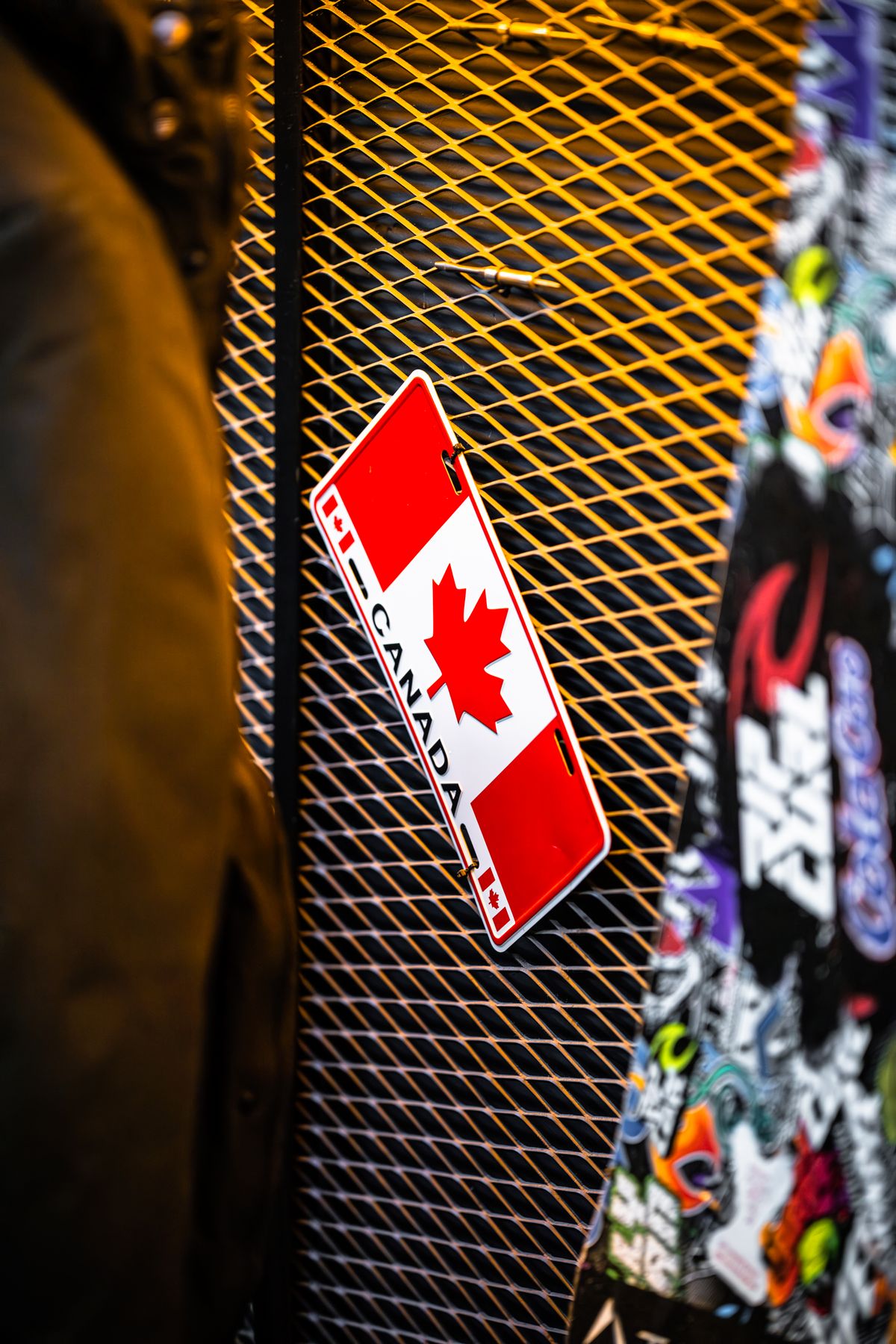 Canada Driver License Photos, Download The BEST Free Canada Driver ...