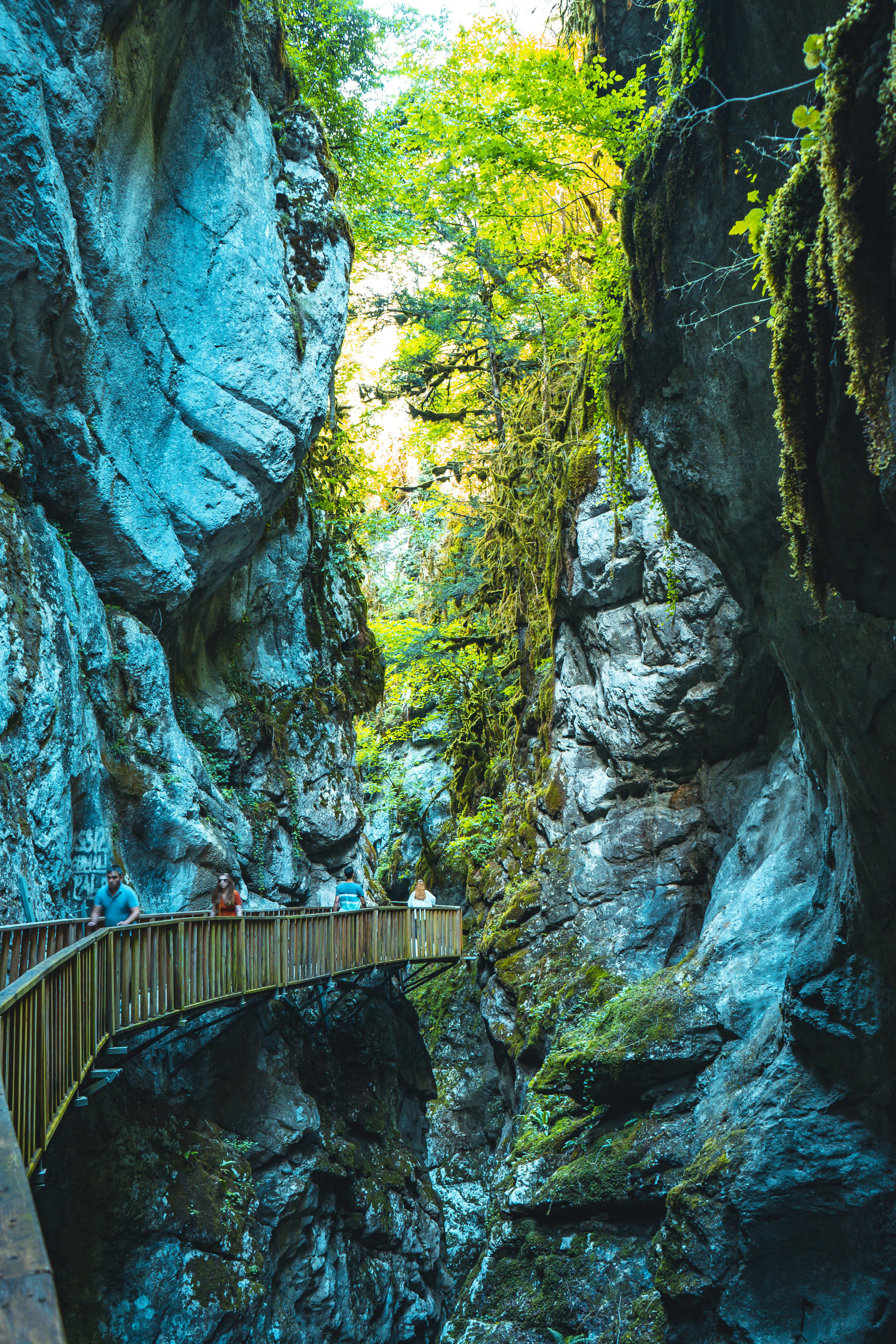 Ivan Samkov Wooden Rocks Photos, Download The BEST Free Ivan Samkov ...