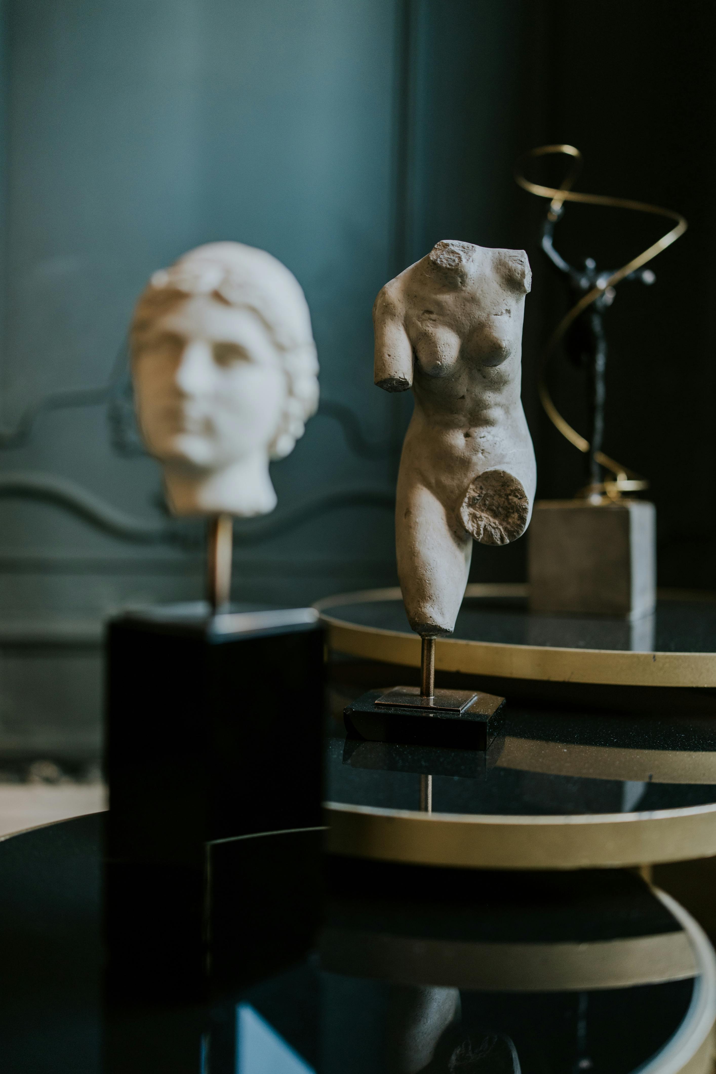 Classical Sculptures Display in Art Gallery · Free Stock Photo