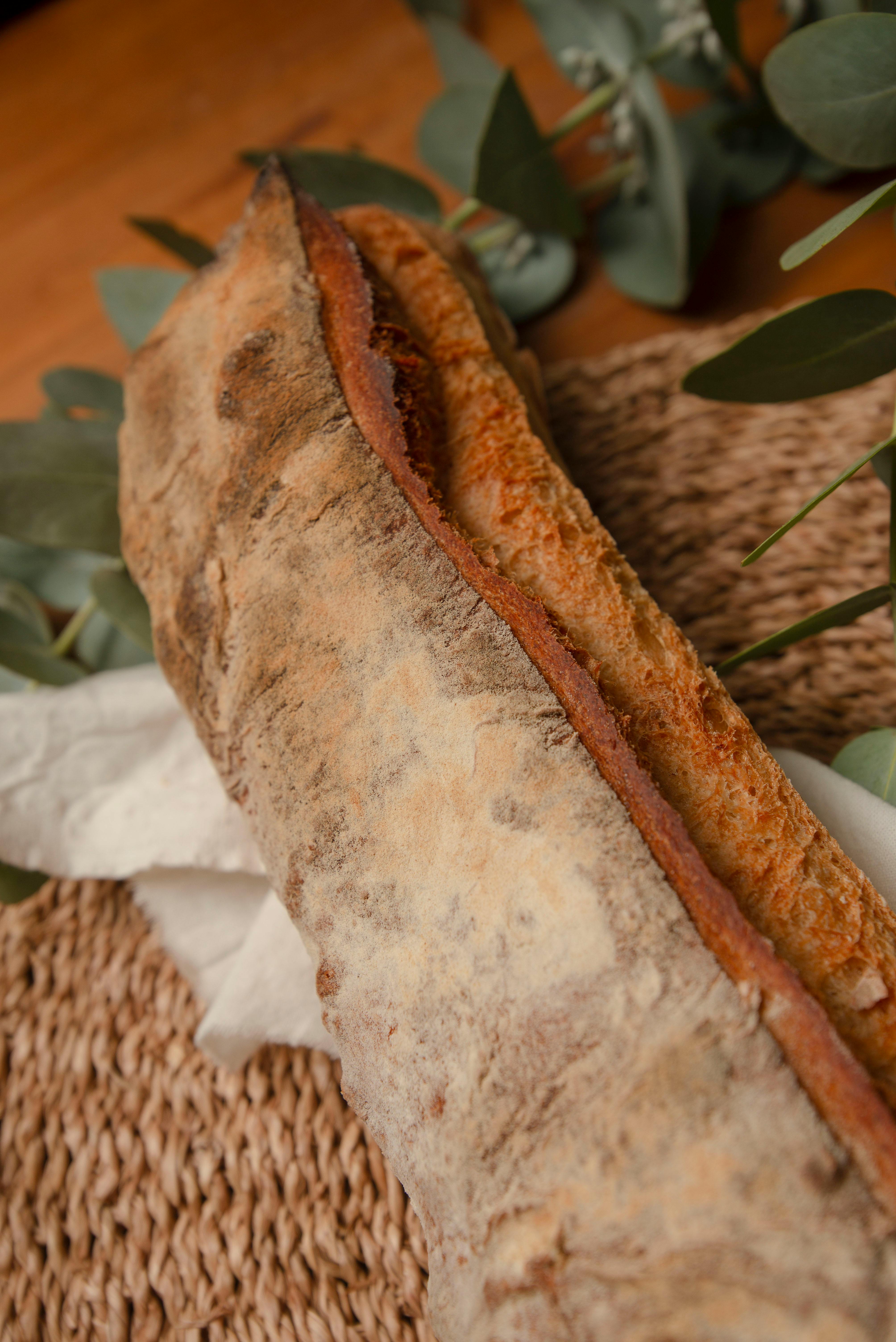 Rustic Baguette with Eucalyptus for Artisan Bakery Feel · Free Stock Photo