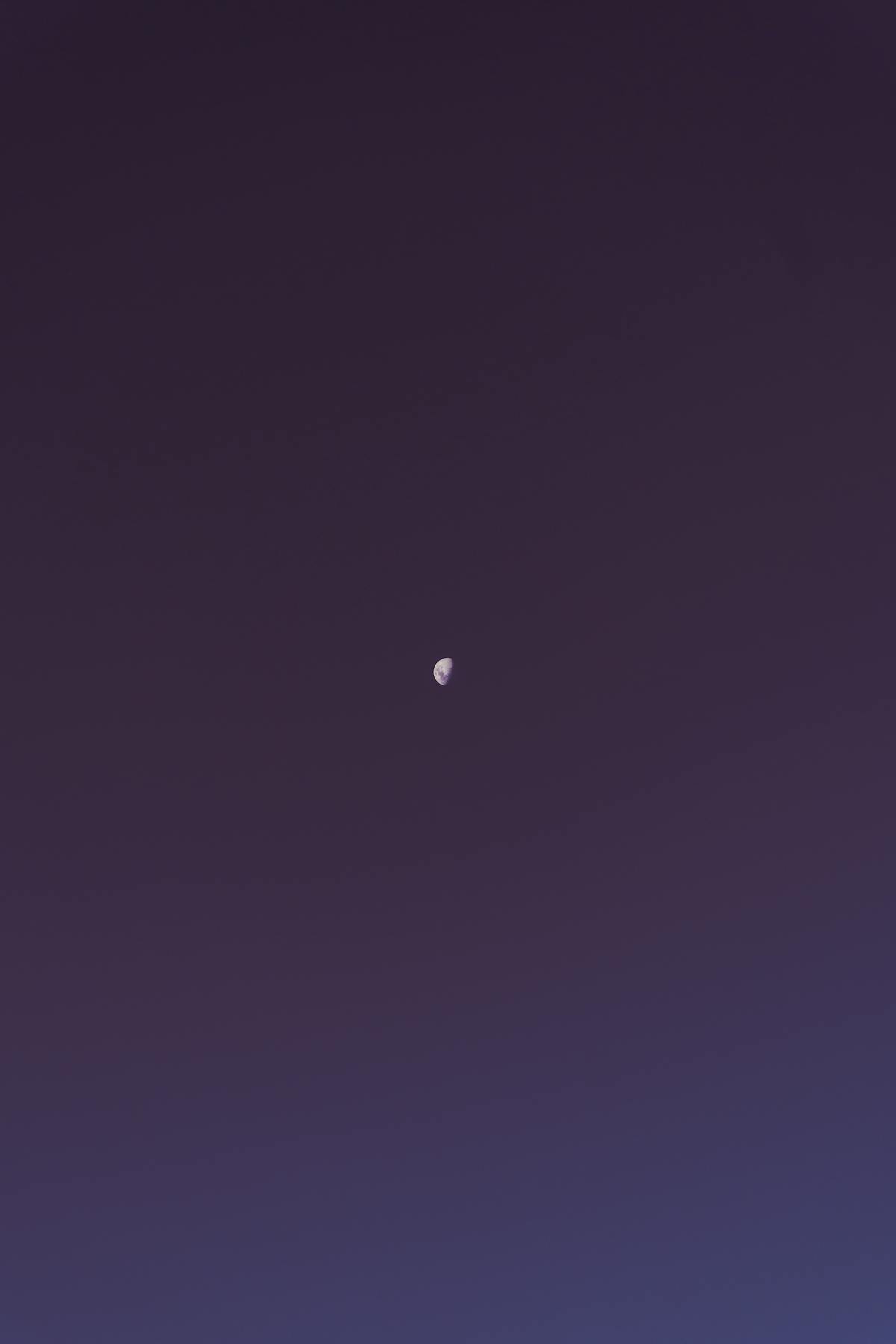 Night Sky Pfp Photos, Download The BEST Free Night Sky Pfp Stock Photos ...