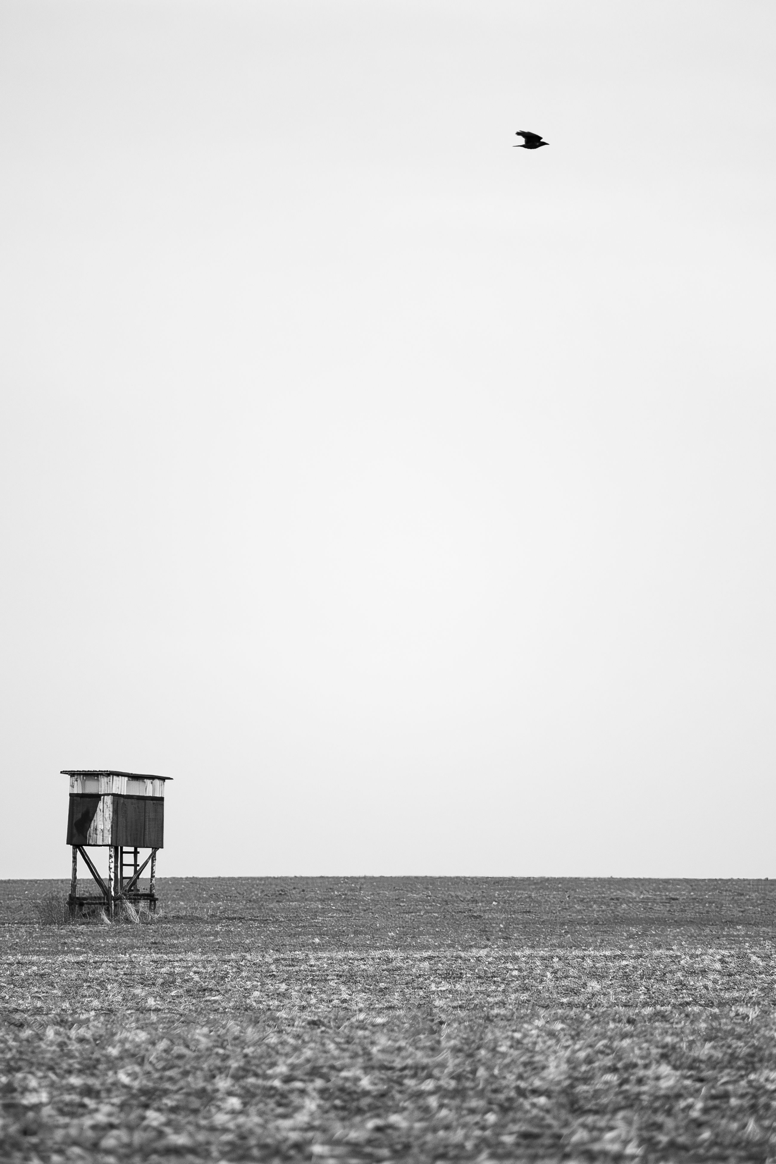 Minimalist Black and White Rural Landscape with Hunting Stand · Free ...