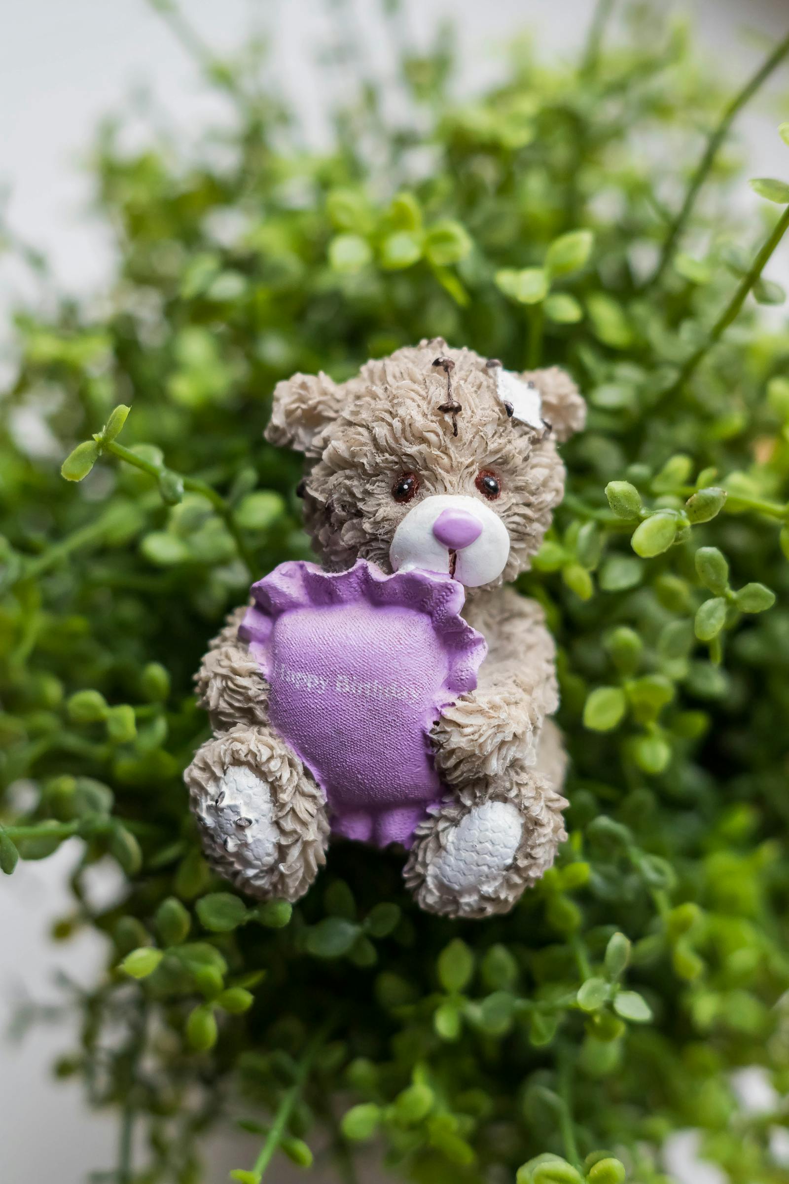 Cute Teddy Bear Photos, Download The BEST Free Cute Teddy Bear Stock ...