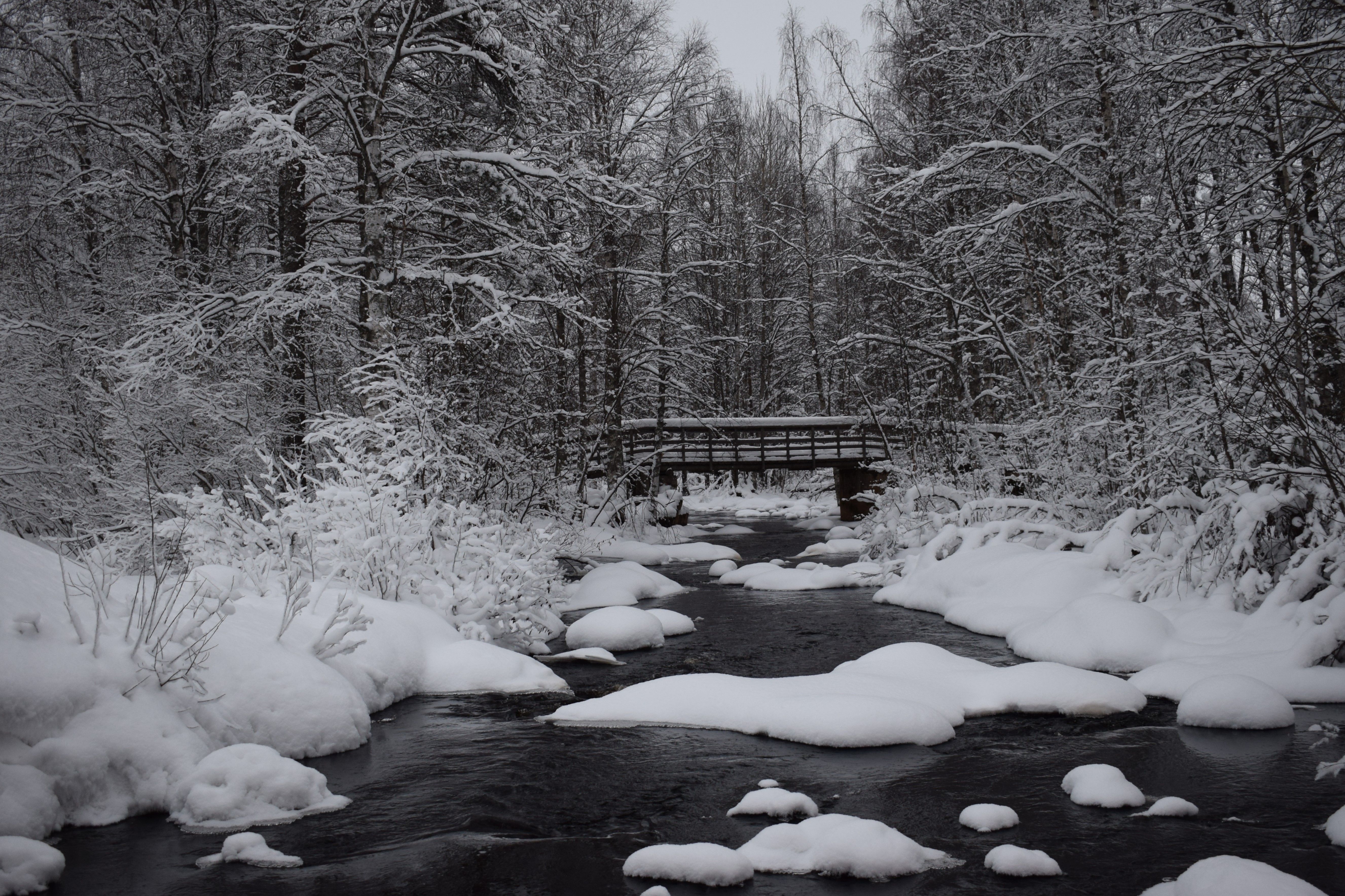 Snow-Covered Bridge Over Finnish Winter Stream · Free Stock Photo