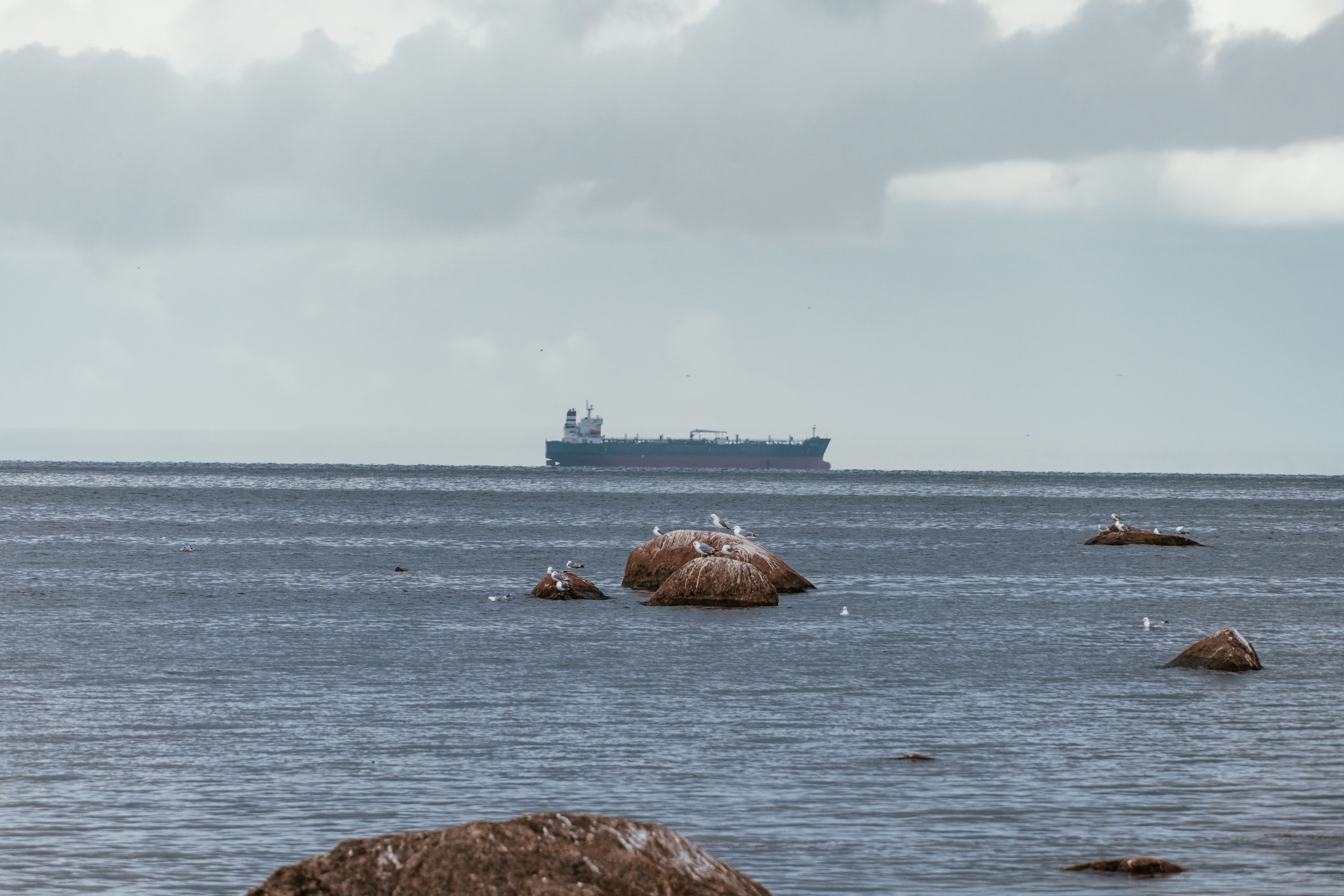 Navio De Carga No Mar Com Gaivotas E Pedras · Foto profissional gratuita