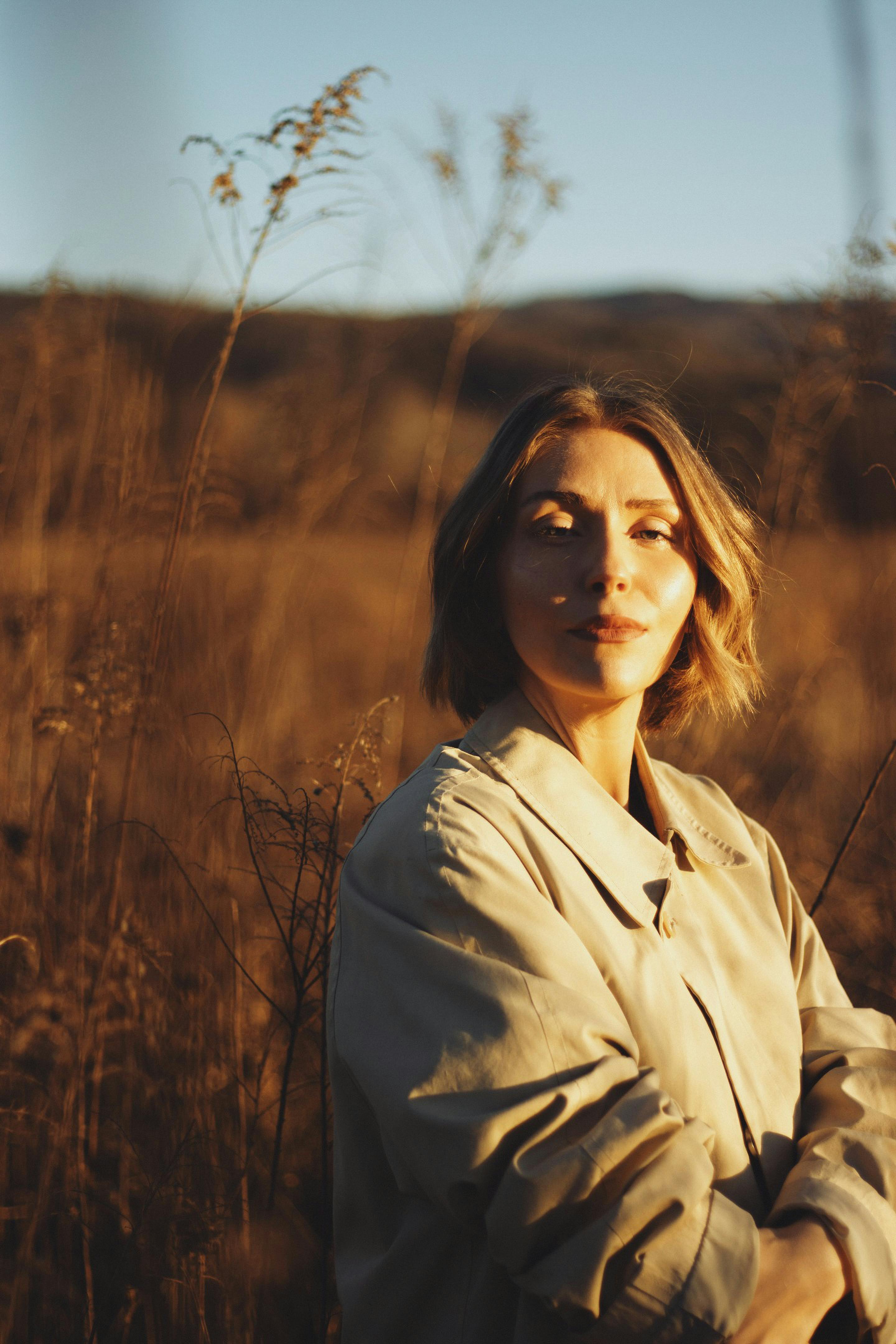 Sunlit Portrait in a Field · Free Stock Photo