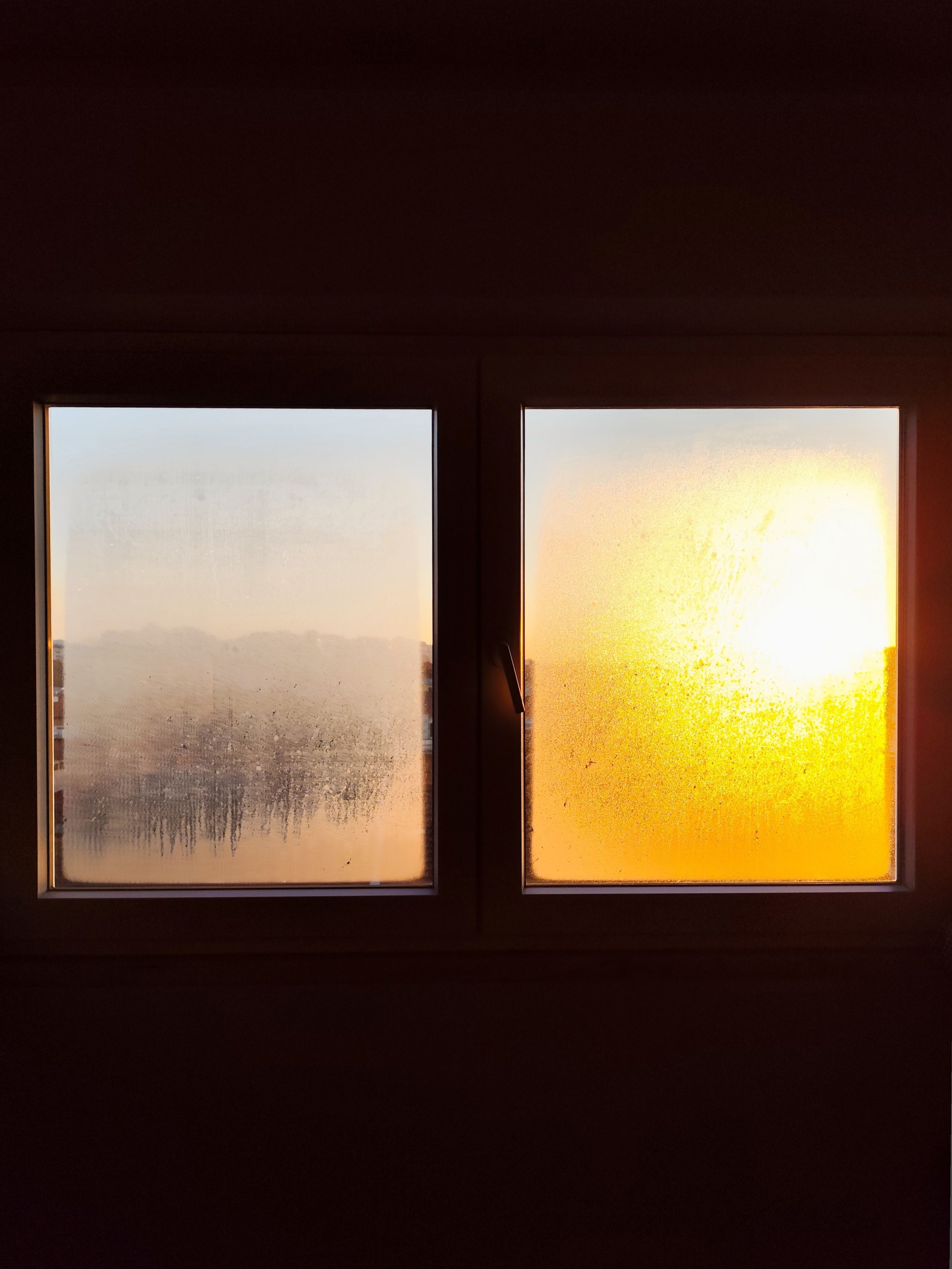 Morning Sunlight Through Frosted Window Pane · Free Stock Photo