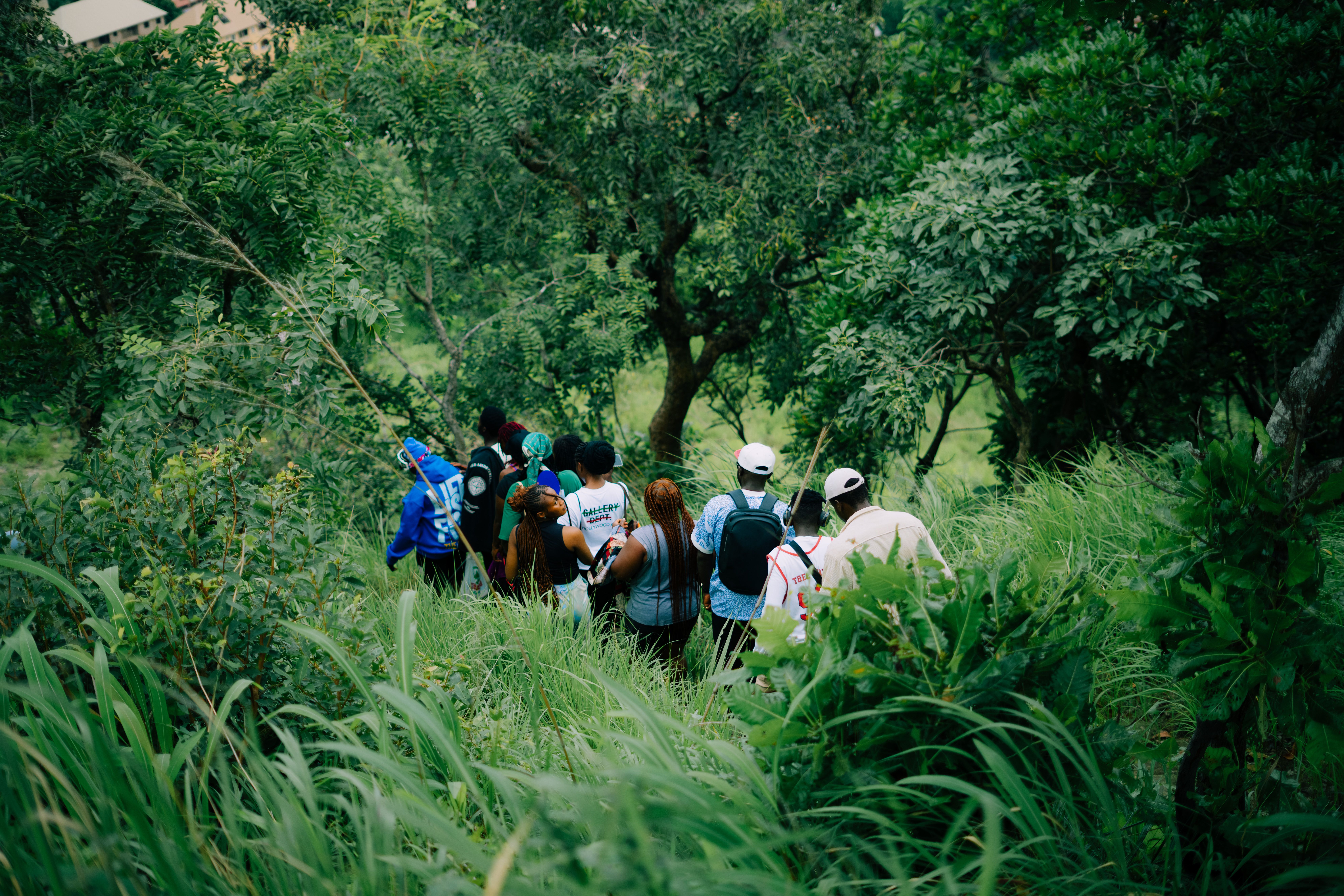 Group Hiking Adventure through Lush Green Forest · Free Stock Photo