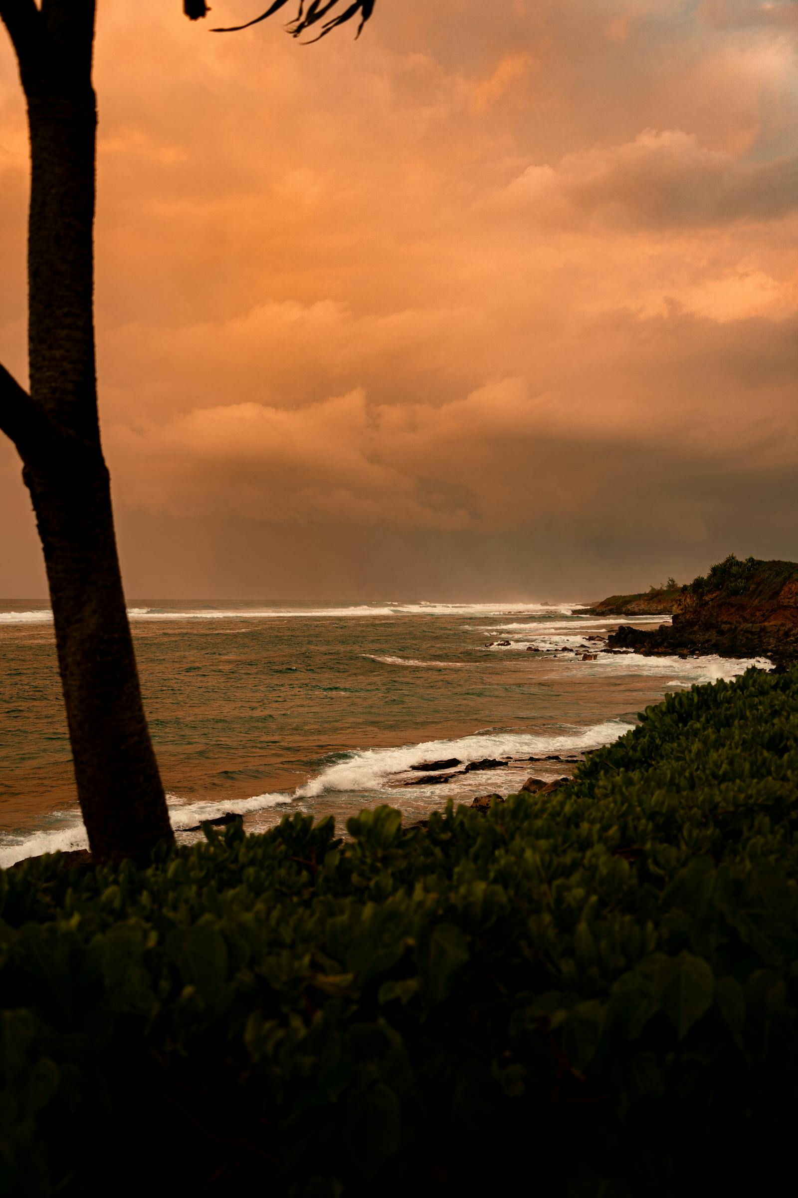 Hawaii Background Photos, Download The BEST Free Hawaii Background ...