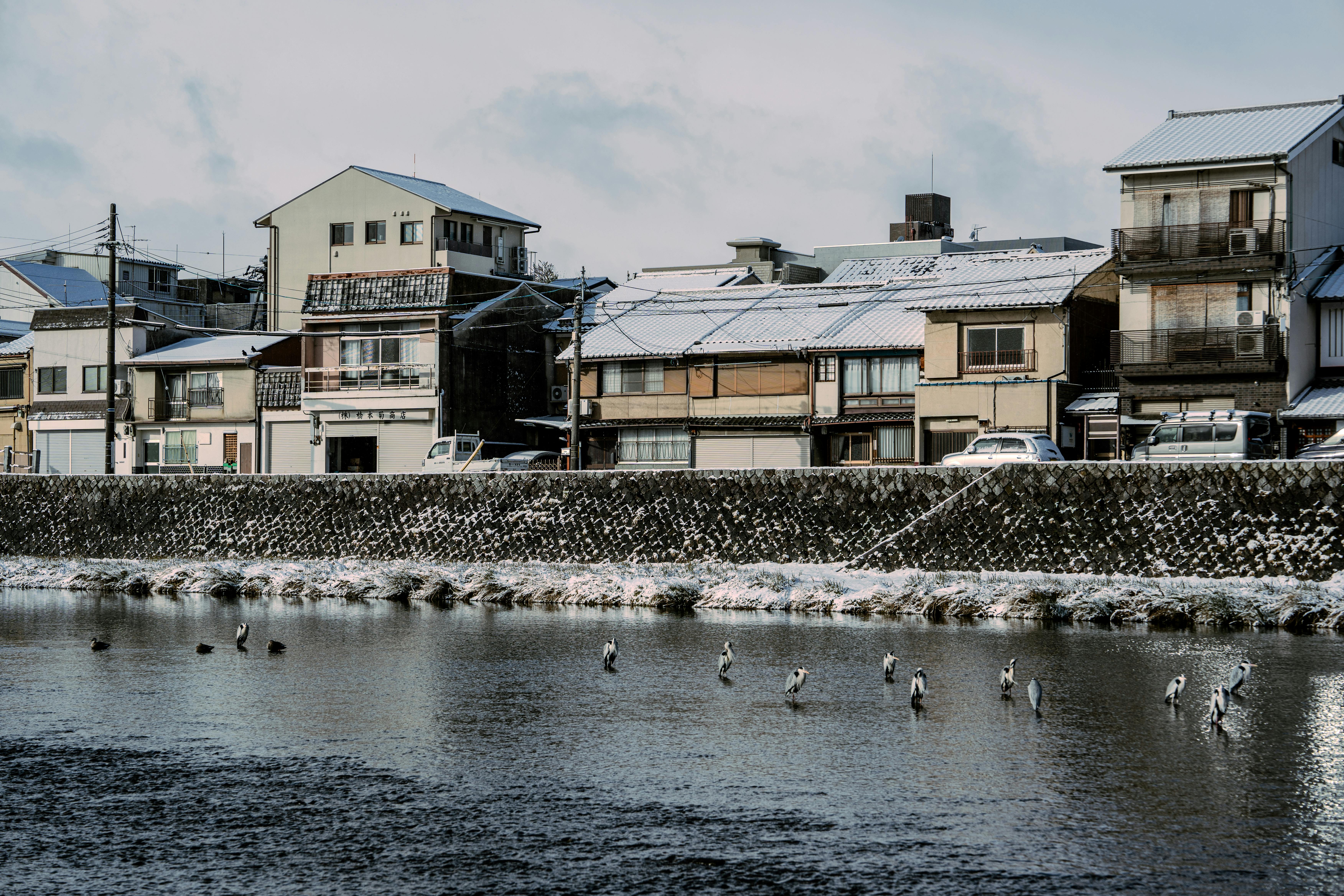 Snowy Riverside Scene in Kyoto, Japan · Free Stock Photo