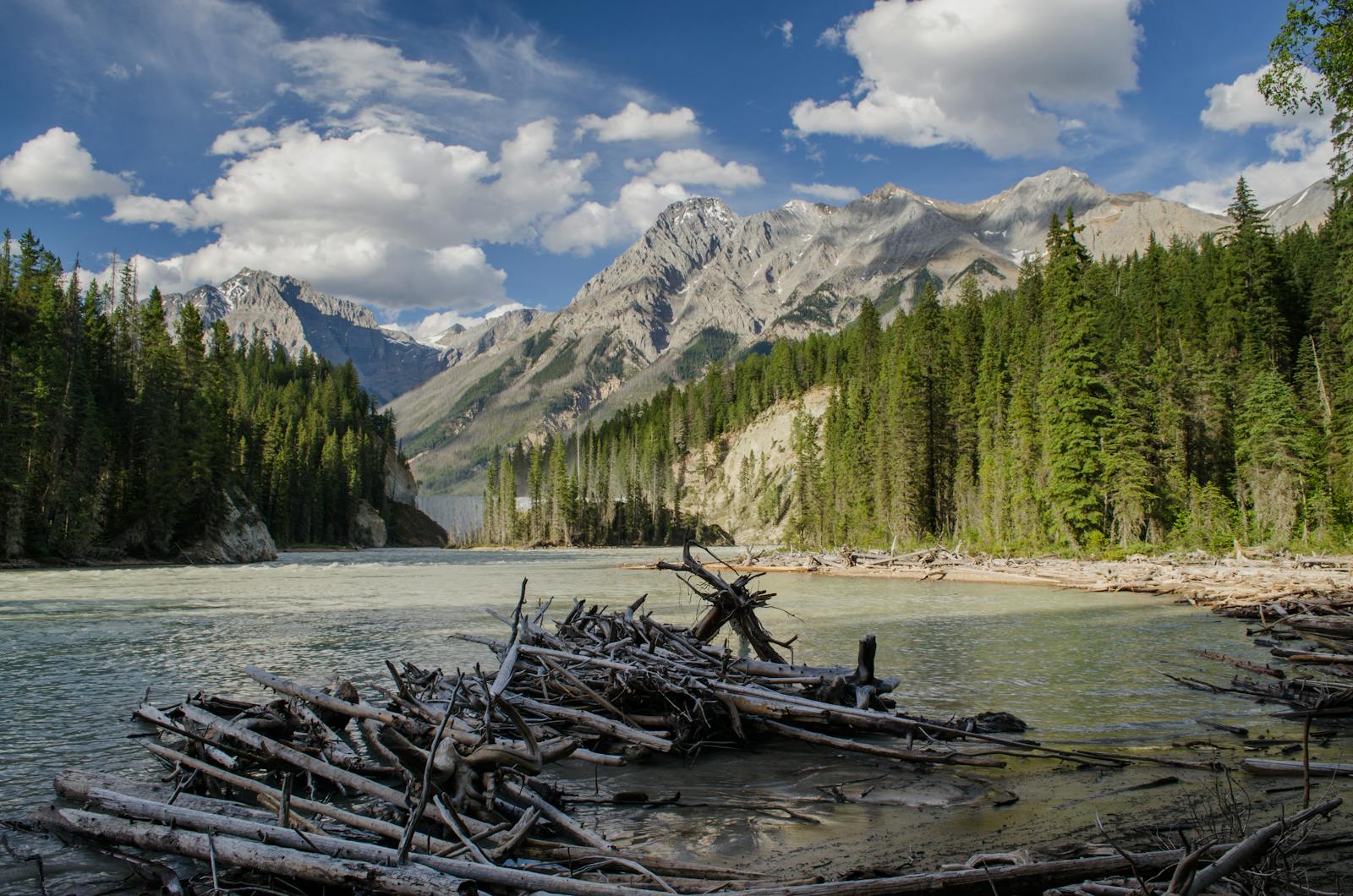 Canada Forest Photos, Download The BEST Free Canada Forest Stock Photos ...