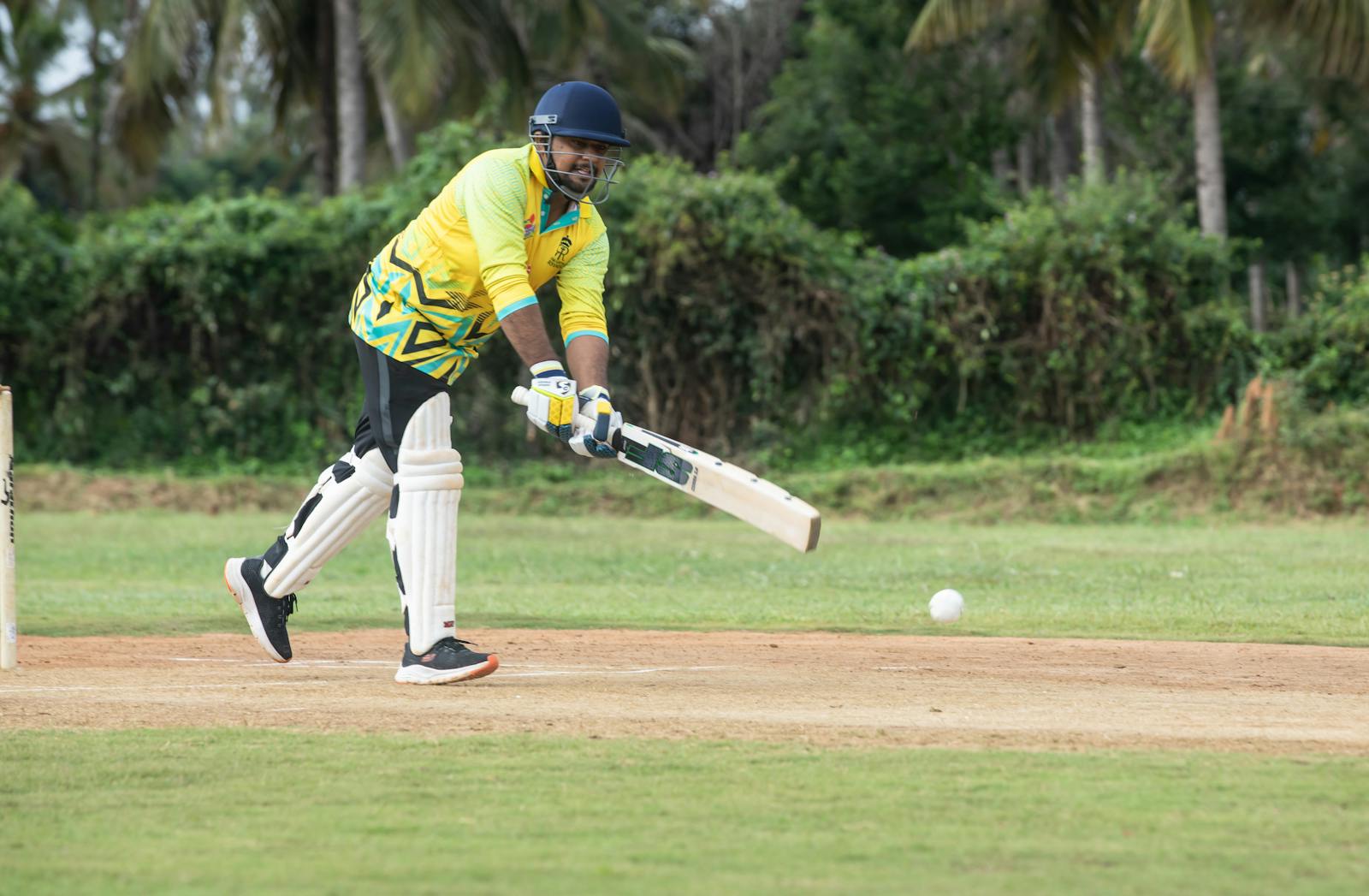 Cricket Bat Photos, Download The BEST Free Cricket Bat Stock Photos ...