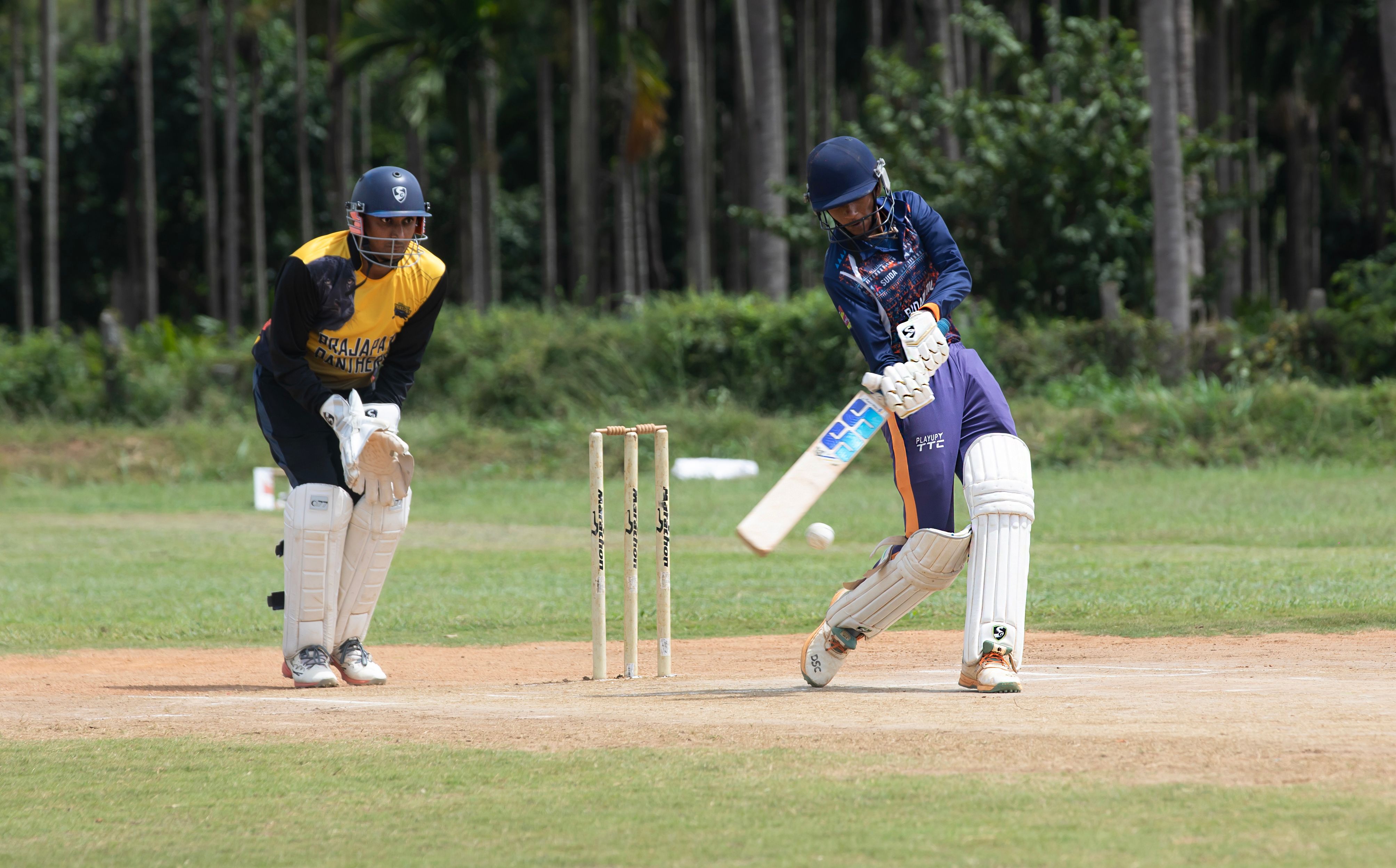 Cricketers in Action on a Sunny Day · Free Stock Photo