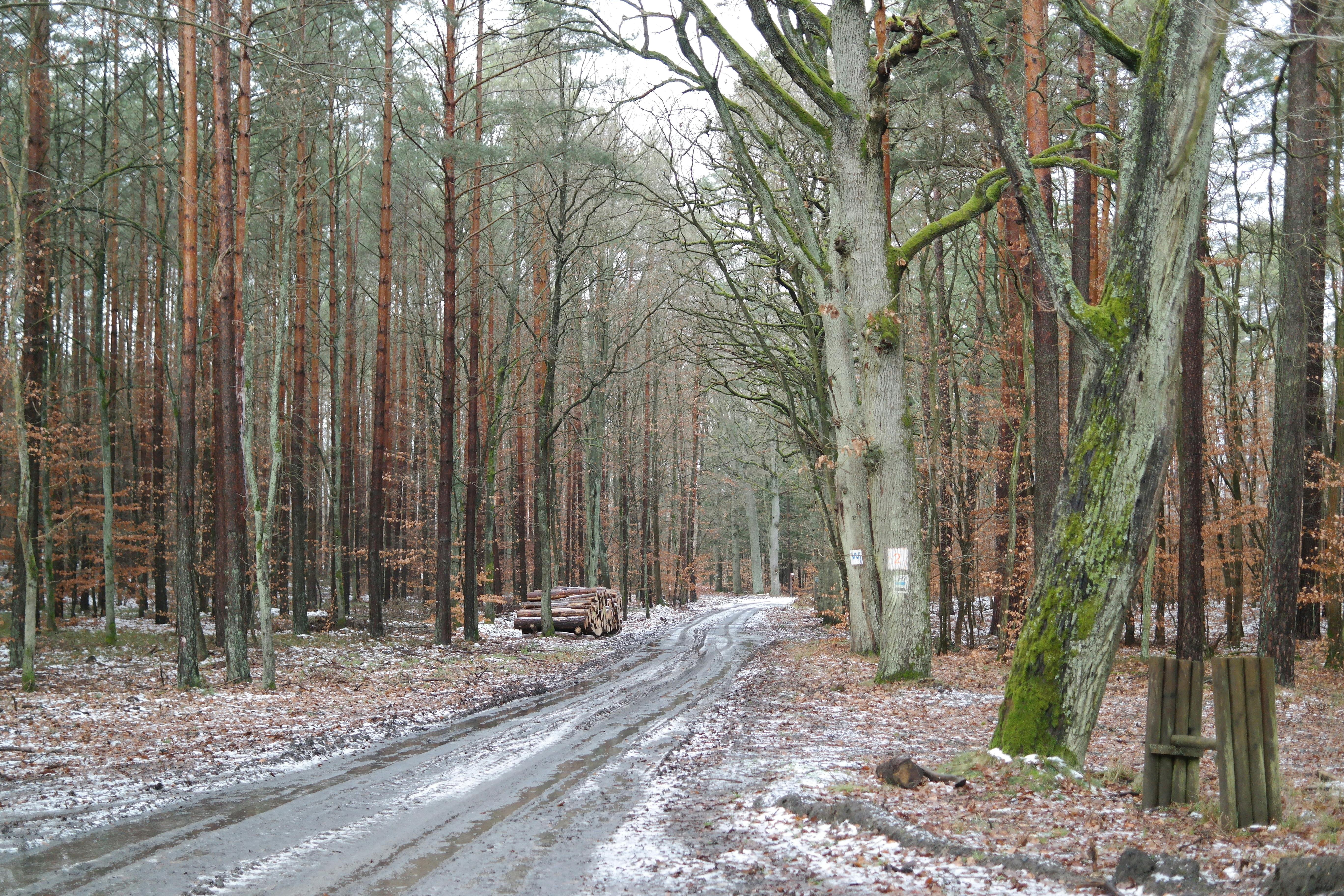 Wireline Logging Photos, Download The BEST Free Wireline Logging Stock ...