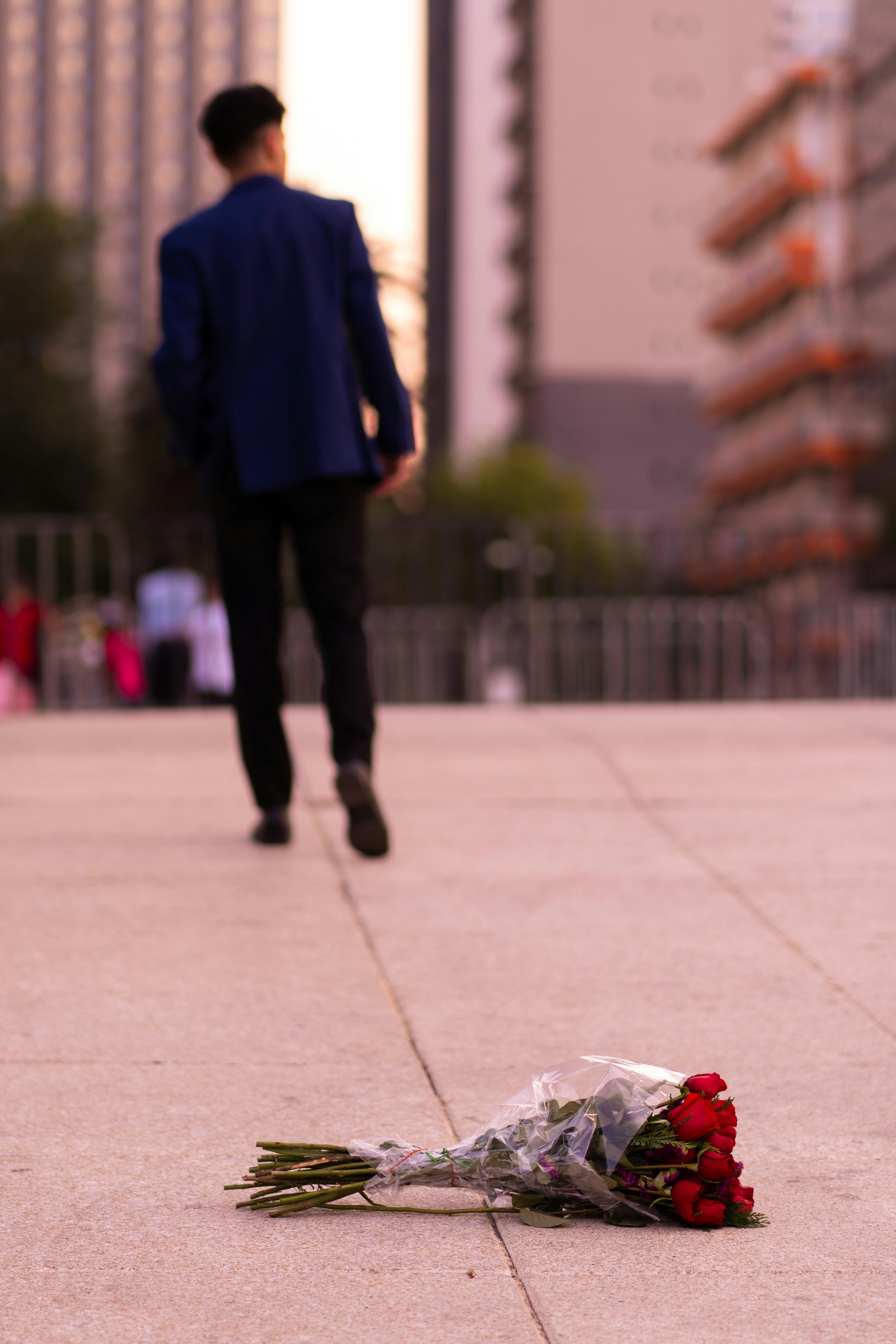 Sunset Goodbye Photos, Download The BEST Free Sunset Goodbye Stock ...