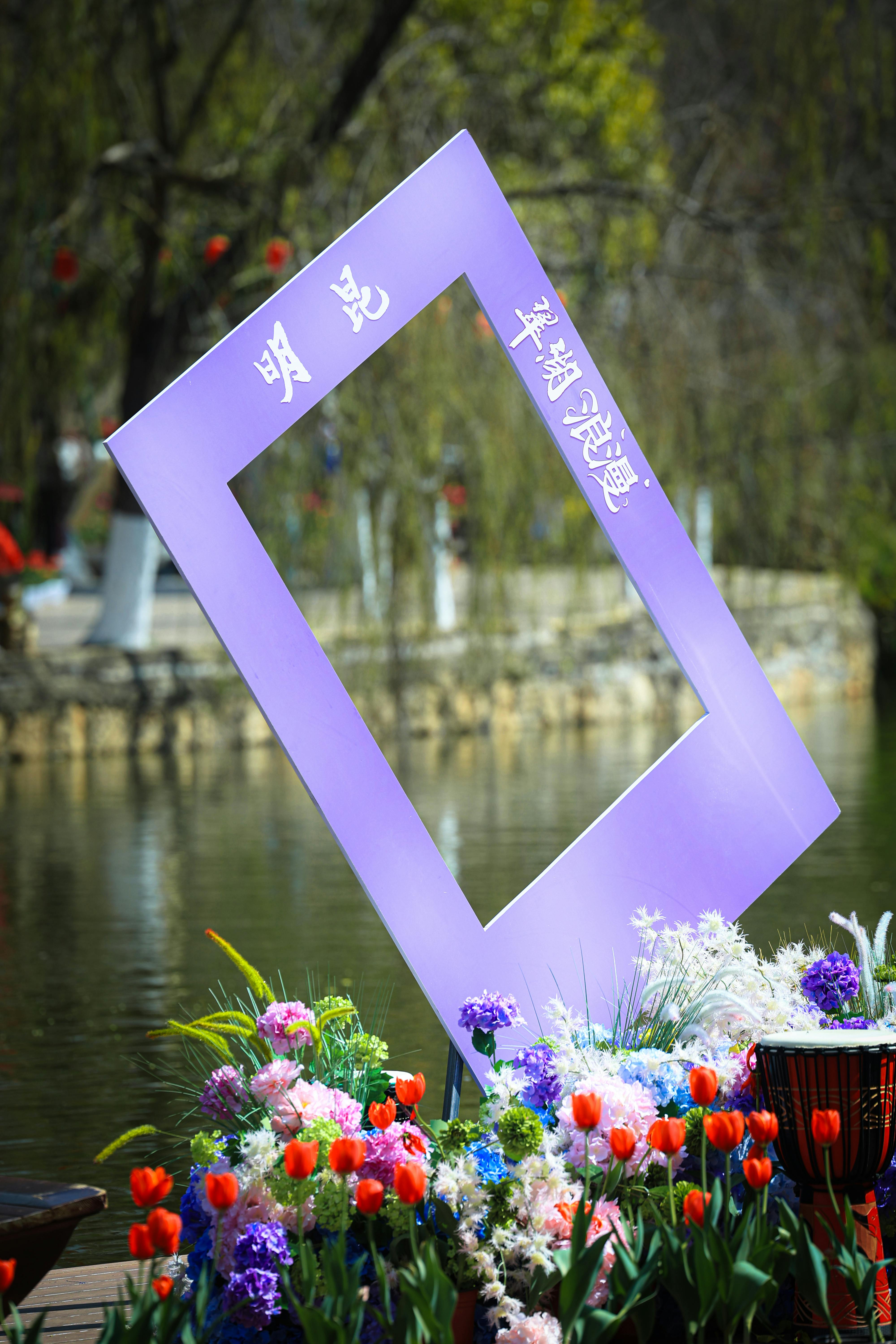 Spring Floral Display with Purple Frame by Pond · Free Stock Photo